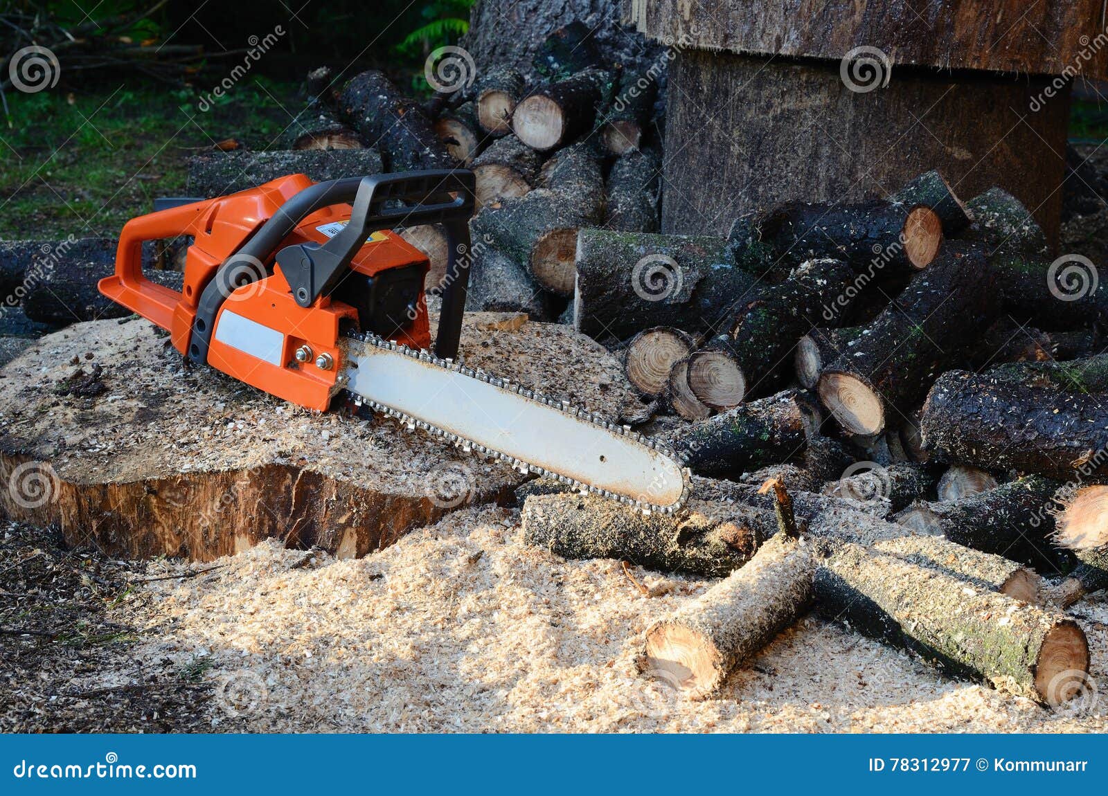 Chainsaw and sawed wood stock image. Image of manufacture - 78312977