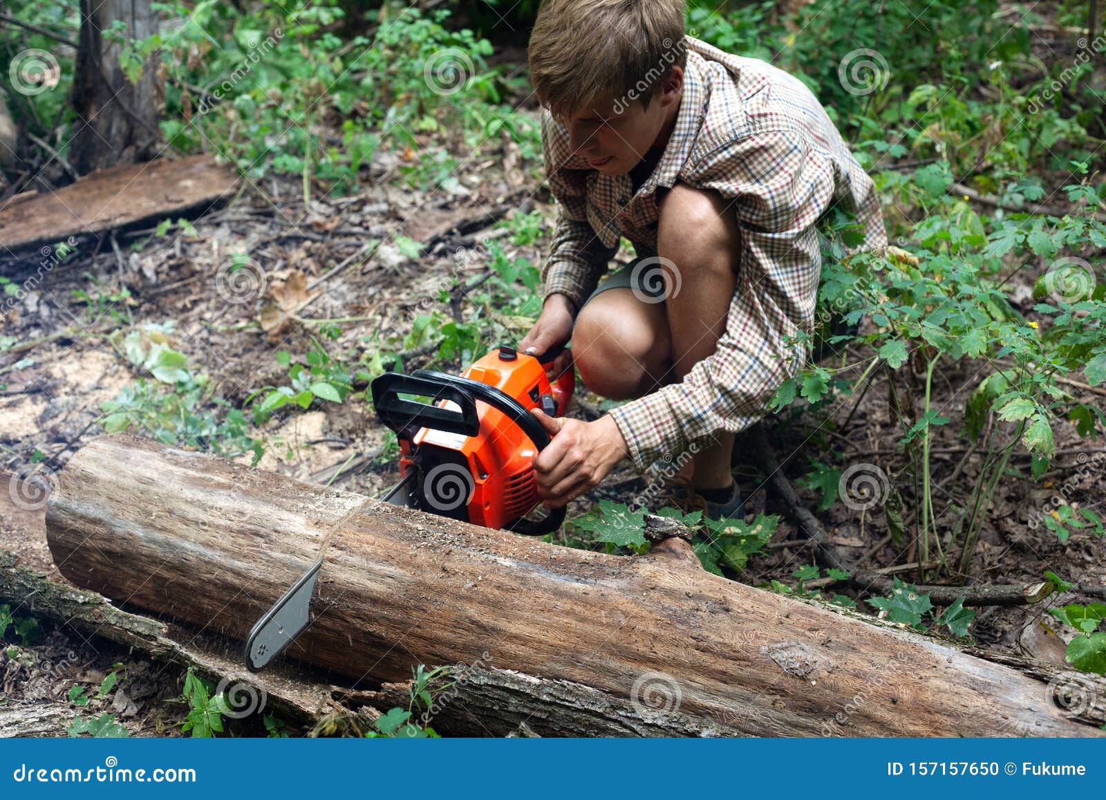 Chainsaw Sawing Trees ,logging for Heating Stock Photo - Image of ...