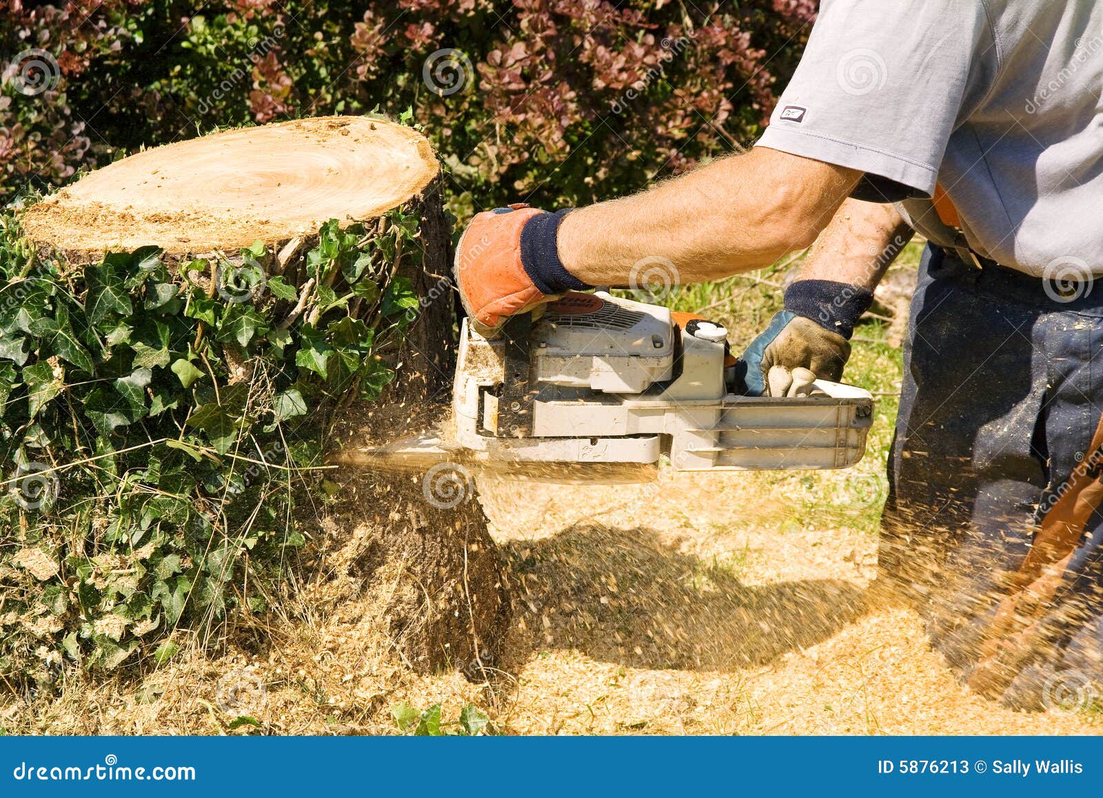 Chainsaw on stump stock image. Image of tree, worker, blade - 5876213