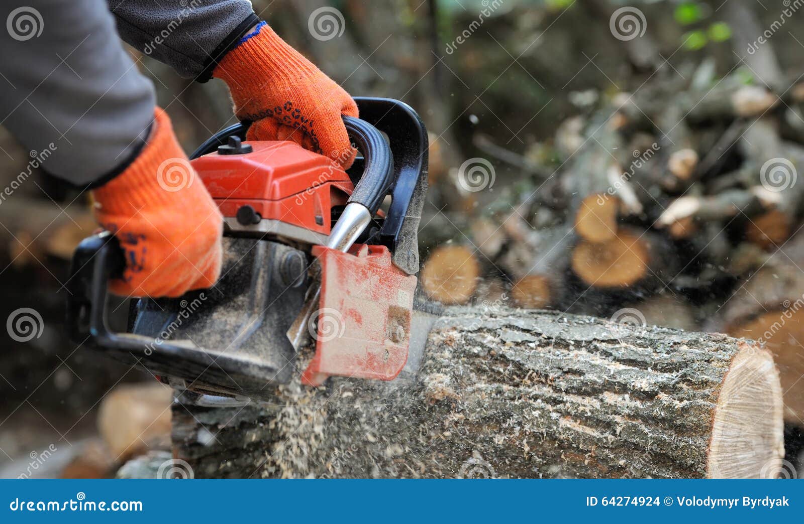 Chainsaw and tree stock photo. Image of outdoor, cutting - 64274924