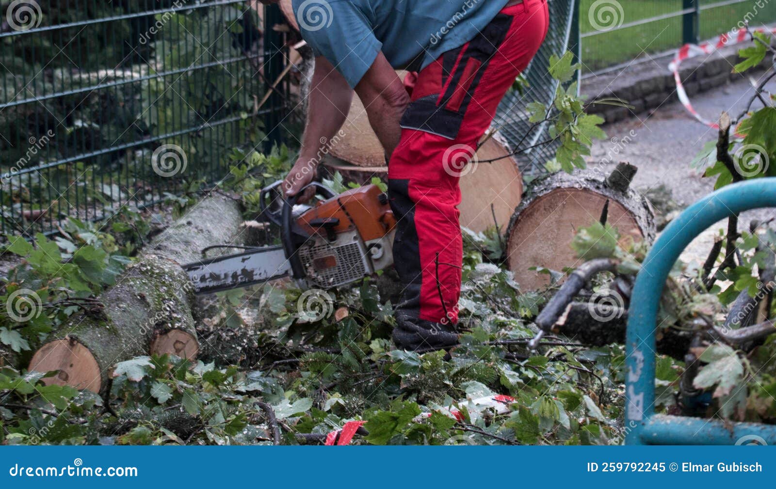 Chainsaw for Tree Cut or Tree Pruning Stock Image - Image of chainsaw ...