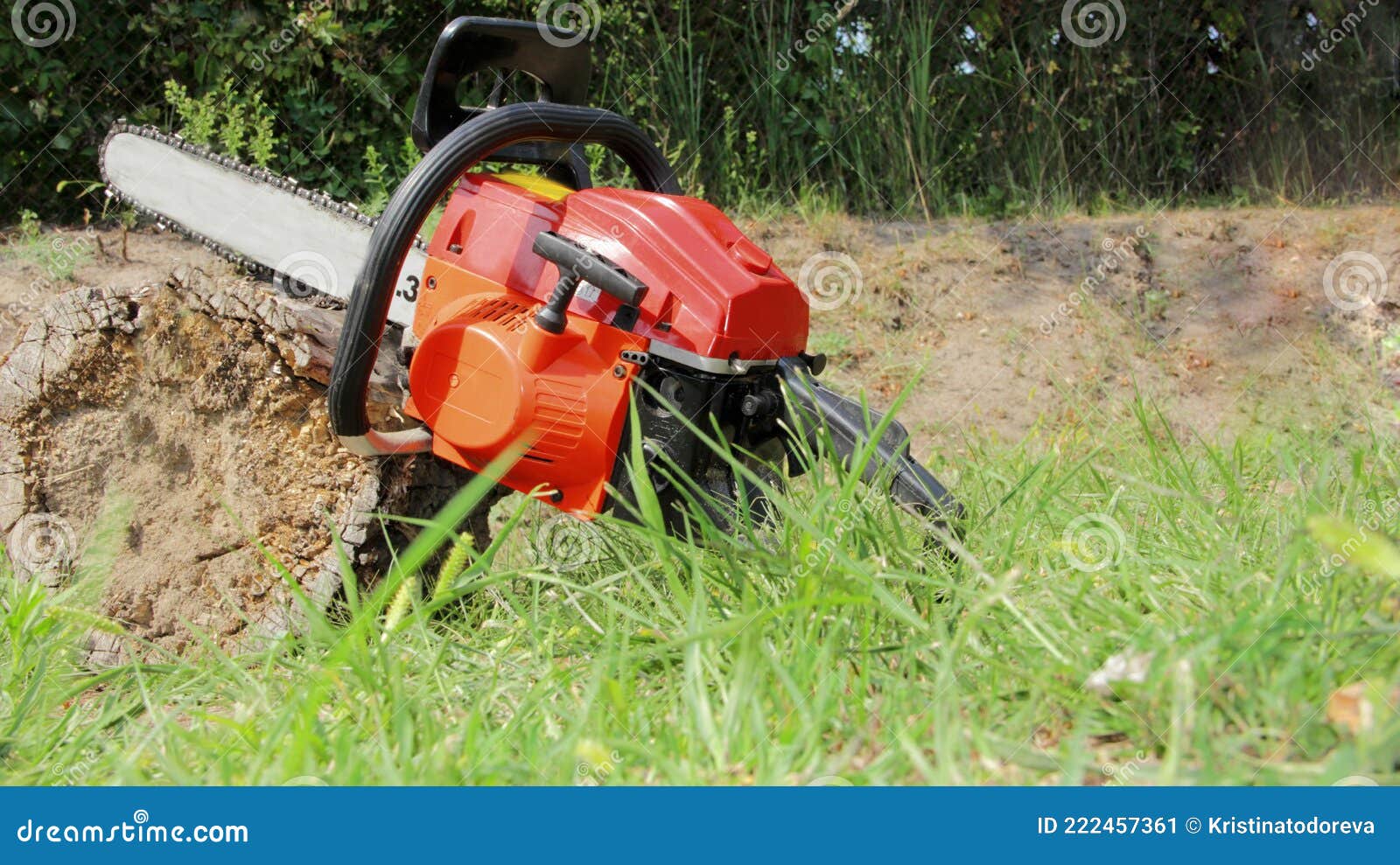 Chainsaw on the Tree. Chainsaw in the Forest Stock Image - Image of ...