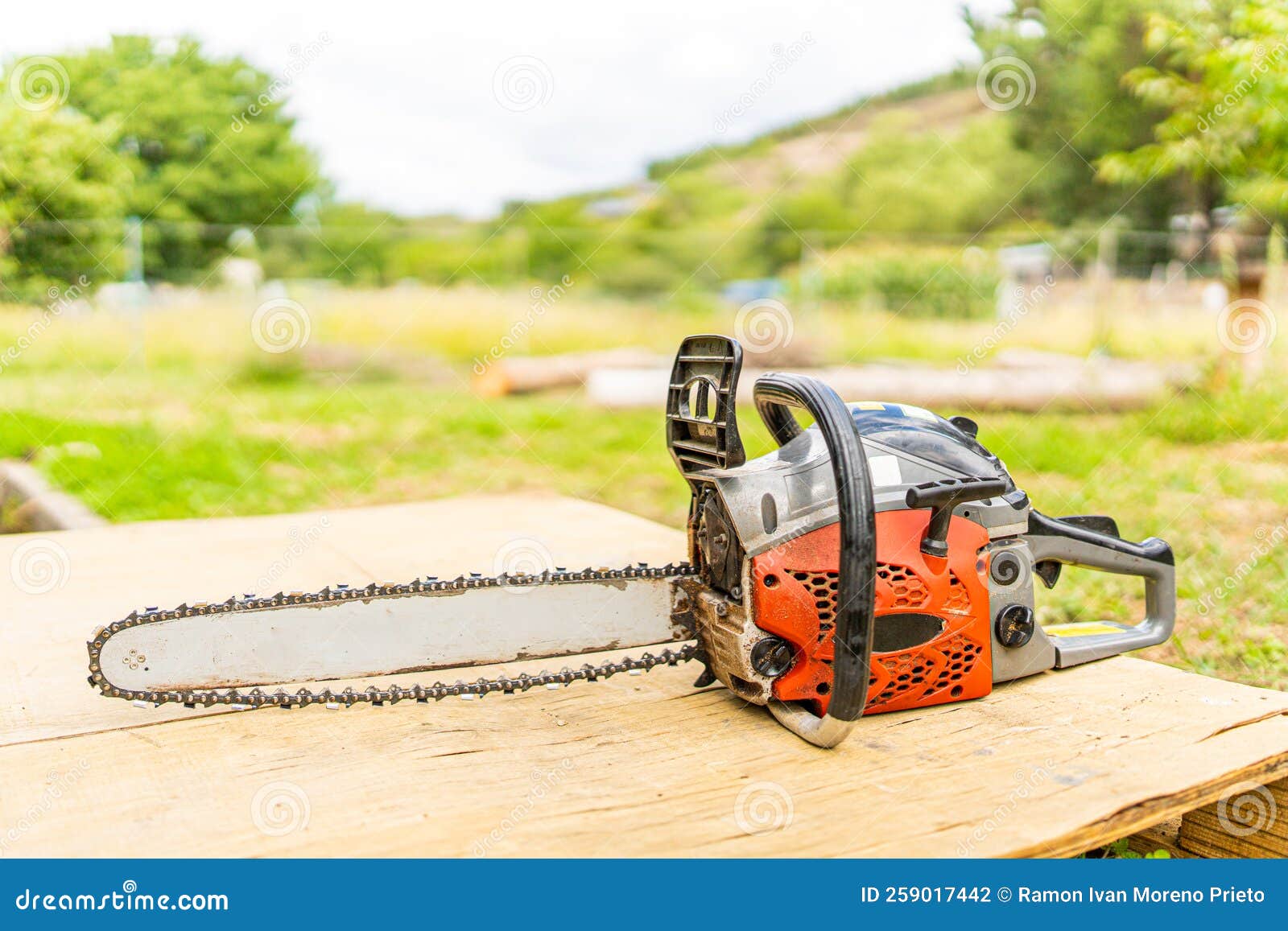 Chainsaw on a Wooden Table in a Garden Stock Photo - Image of single ...