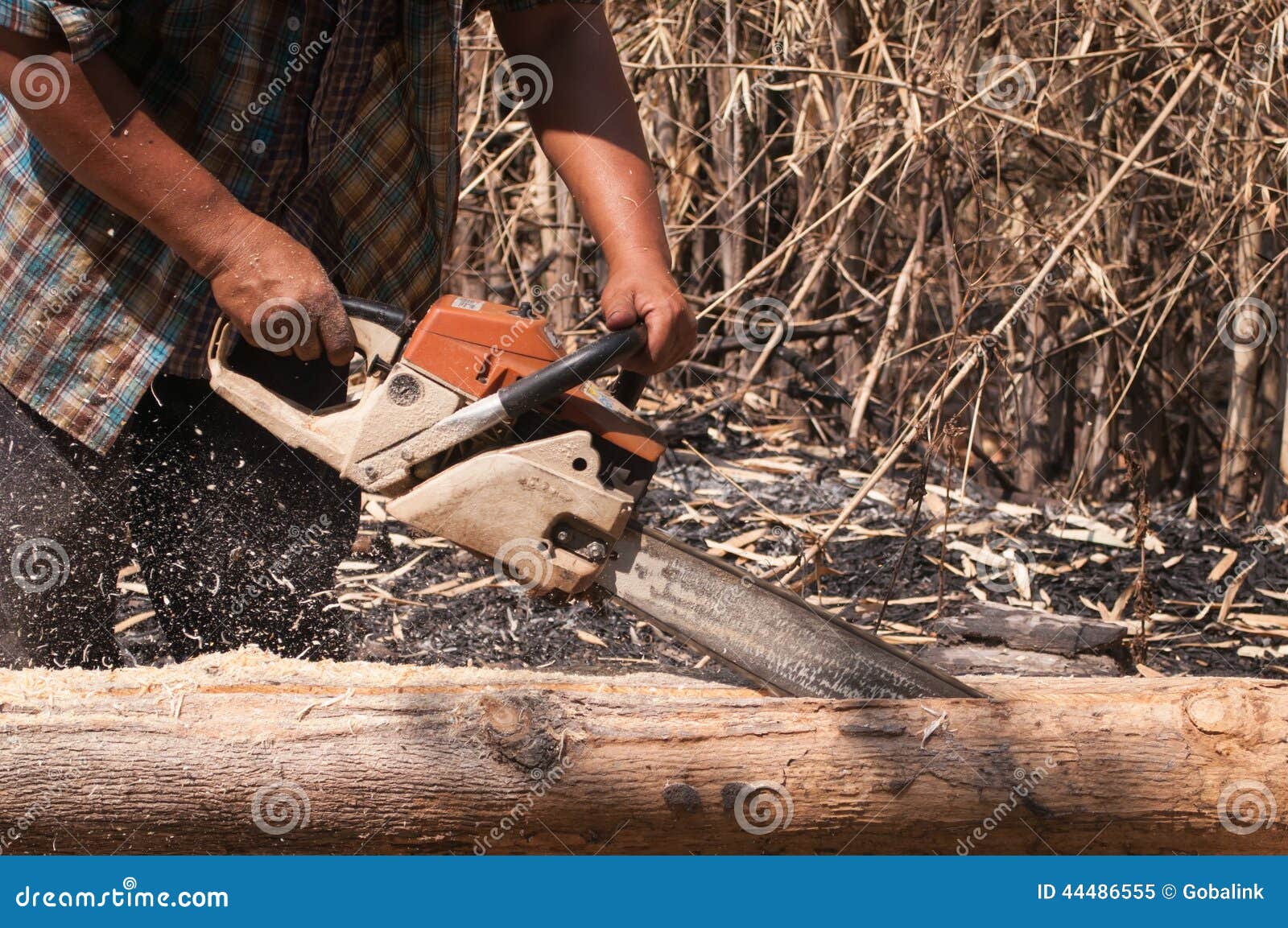 Chainsaw stock image. Image of sawing, forest, chain - 44486555