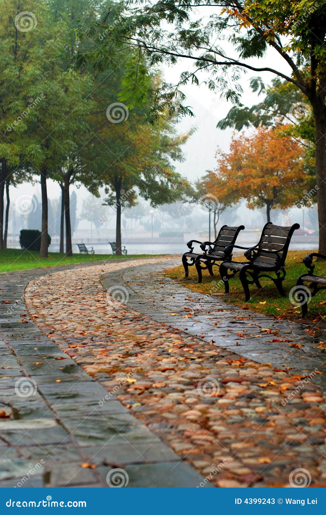 The chair and bypath stock image. Image of raod, poetry - 4399243