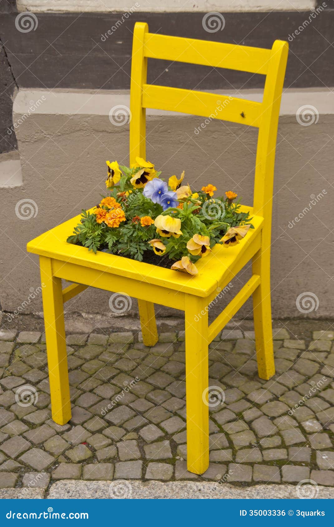 Chair stock photo. Image of planted, floral, bright, flower - 35003336
