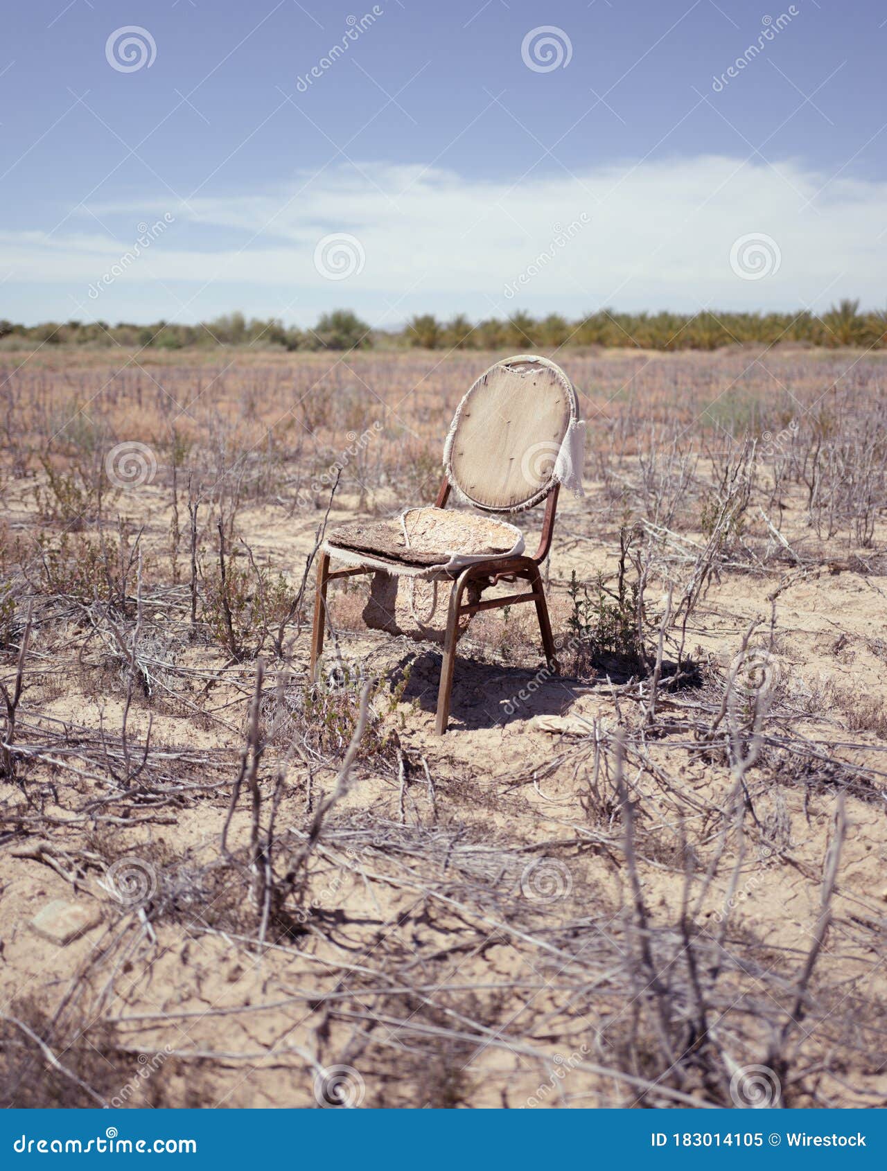 Chair in Field stock image. Image of chair, trash, legs - 183014105