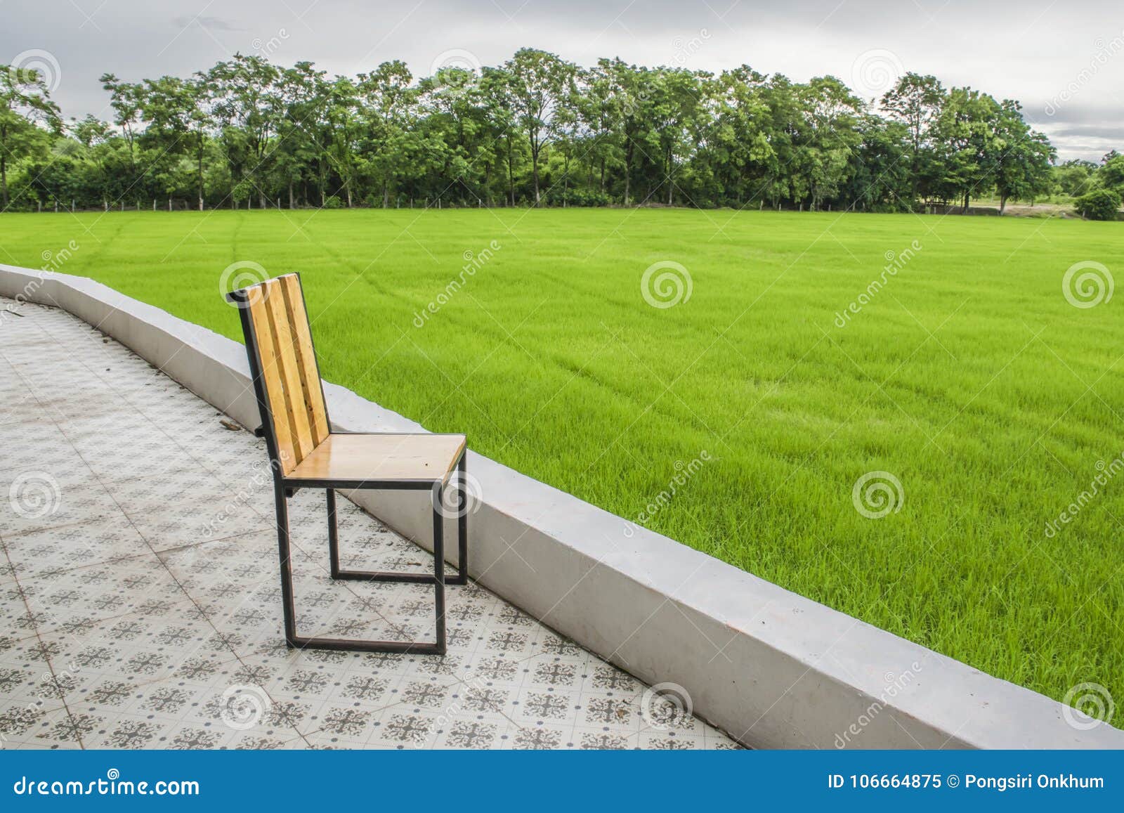 Chair in the field stock image. Image of view, rice - 106664875