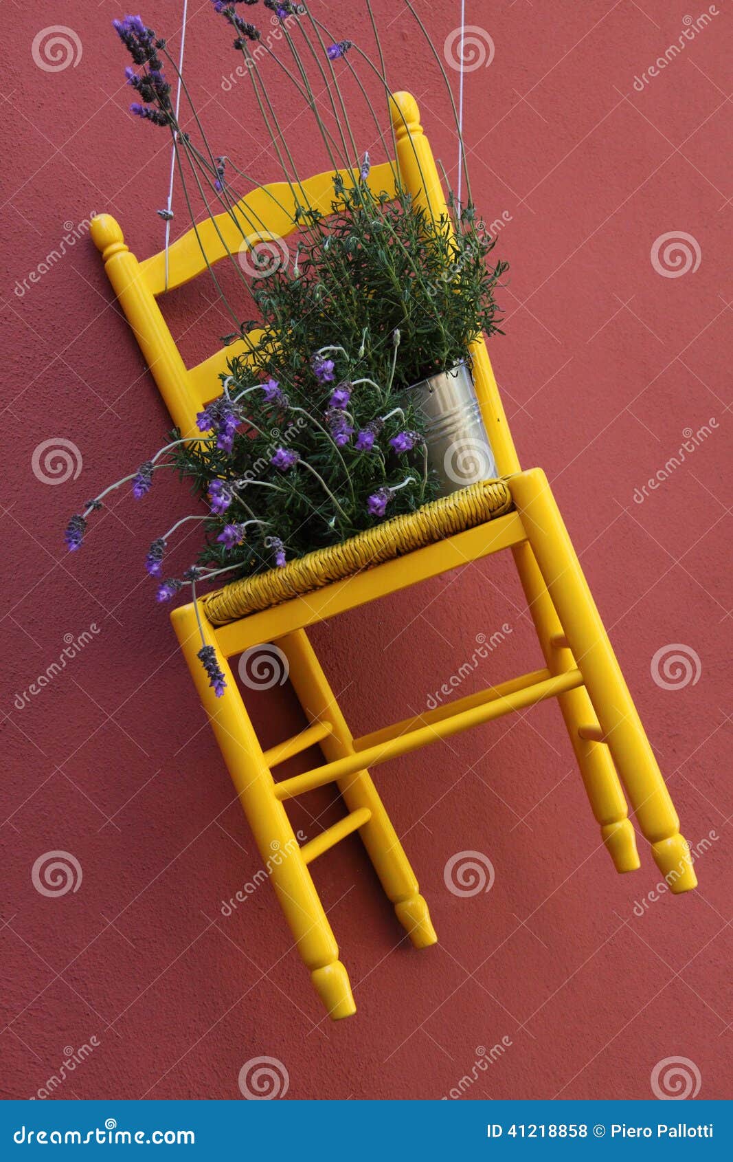 Chair and flower stock photo. Image of flower, hardwood - 41218858