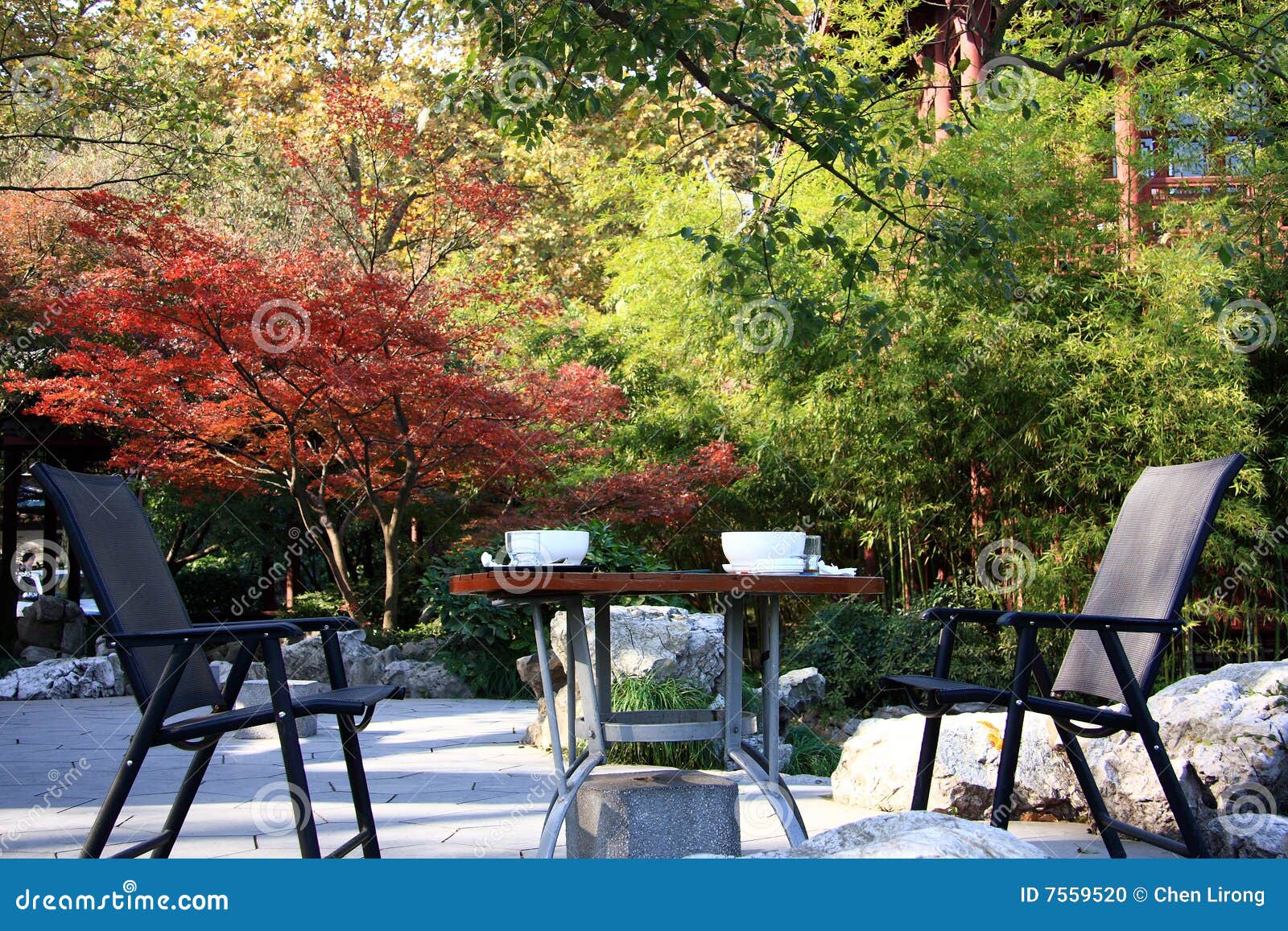 Chair maple autumn stock photo. Image of table, temple - 7559520