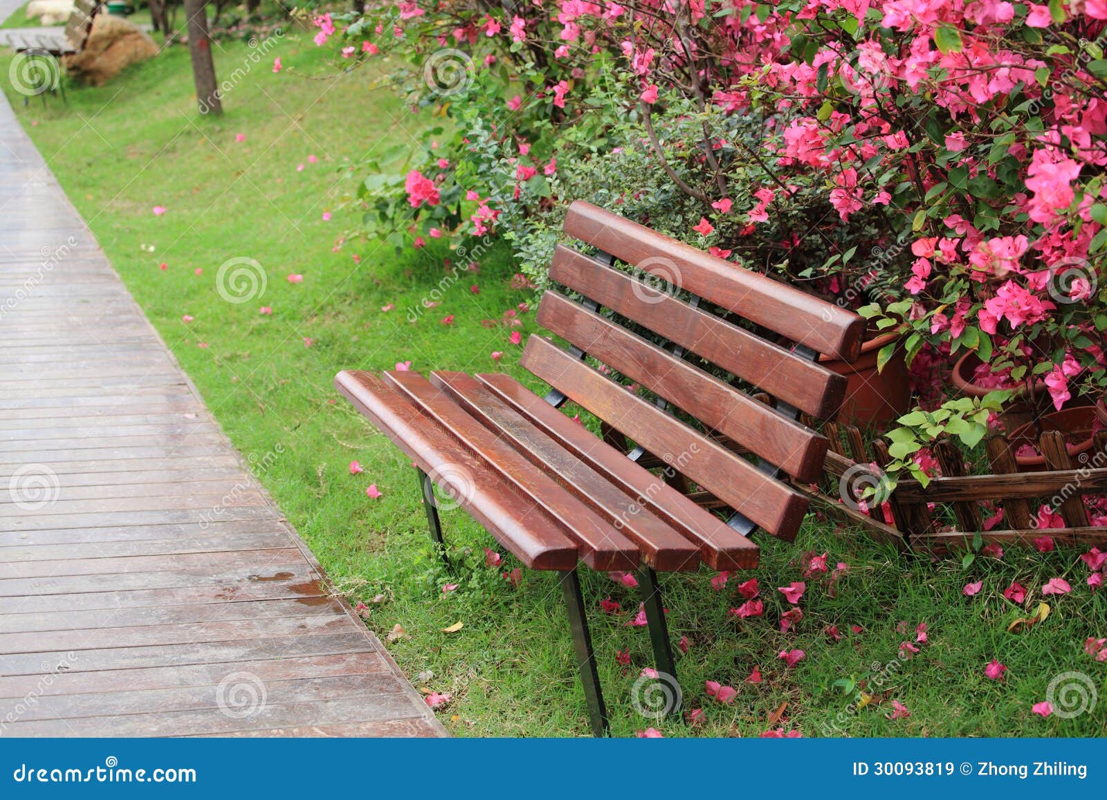 Chair in the park stock image. Image of flower, spring - 30093819