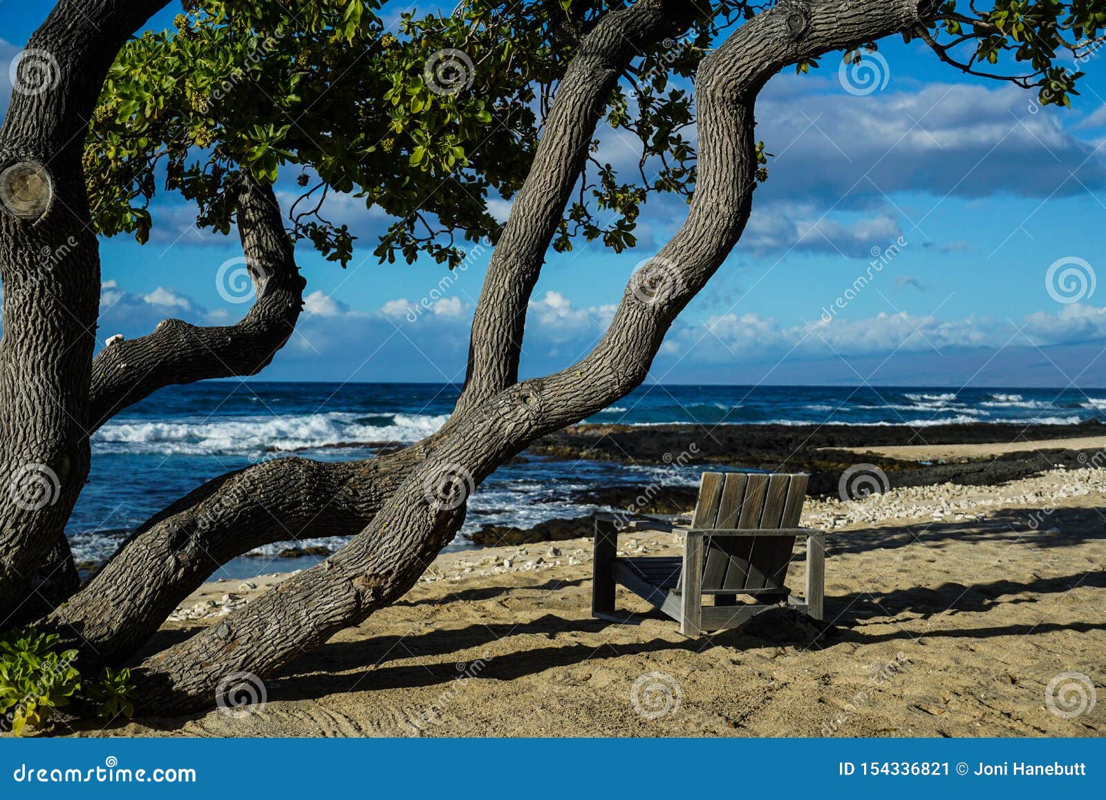 Chair on Sand Beach Under a Tree Stock Image - Image of overlooking ...
