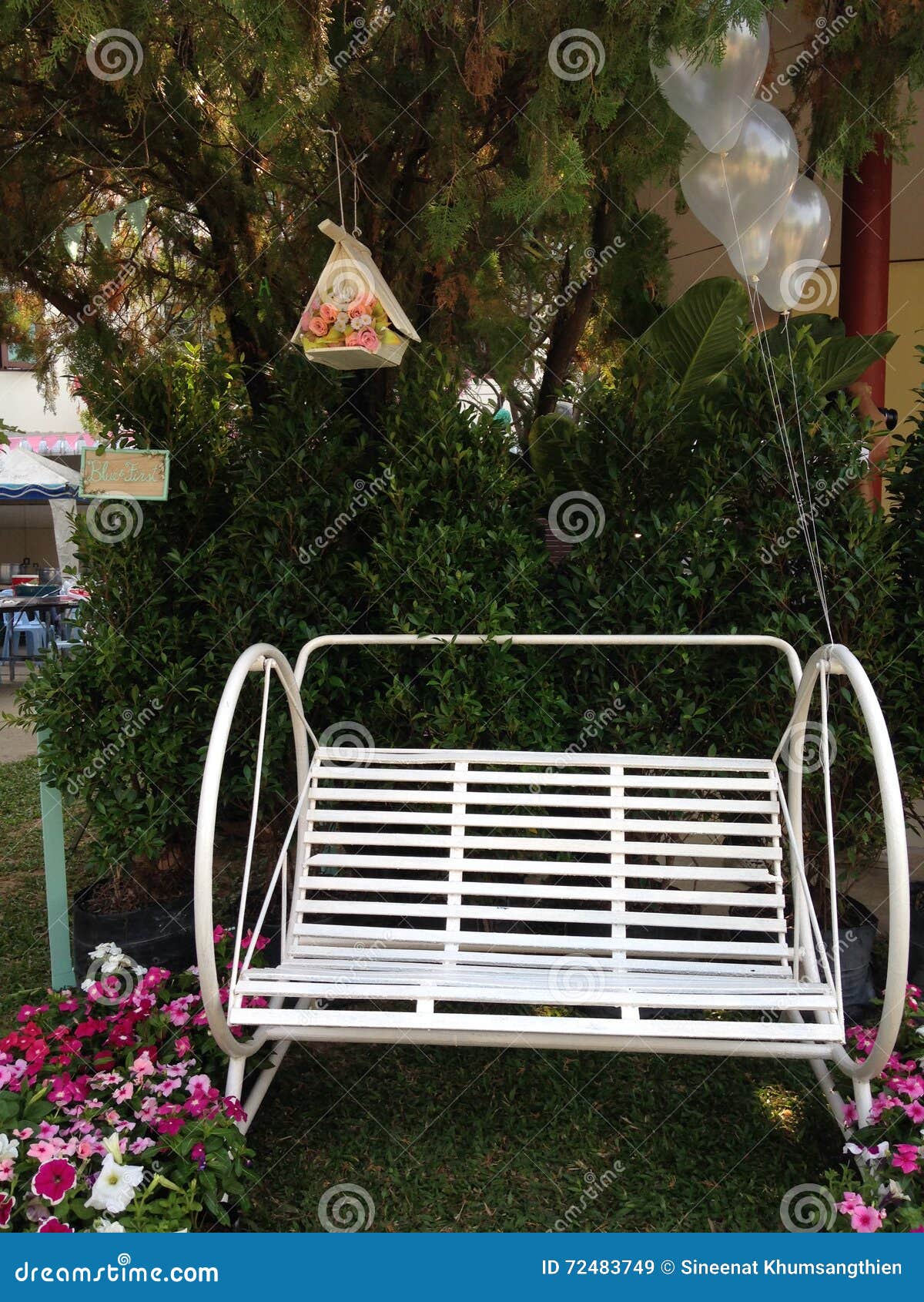 Chair seen stock image. Image of nature, blackground - 72483749