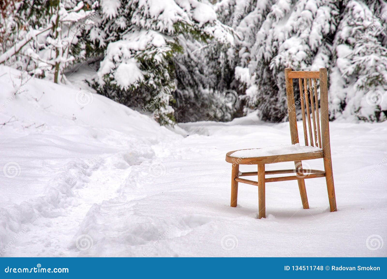 Chair in the snow stock photo. Image of season, wooden - 134511748