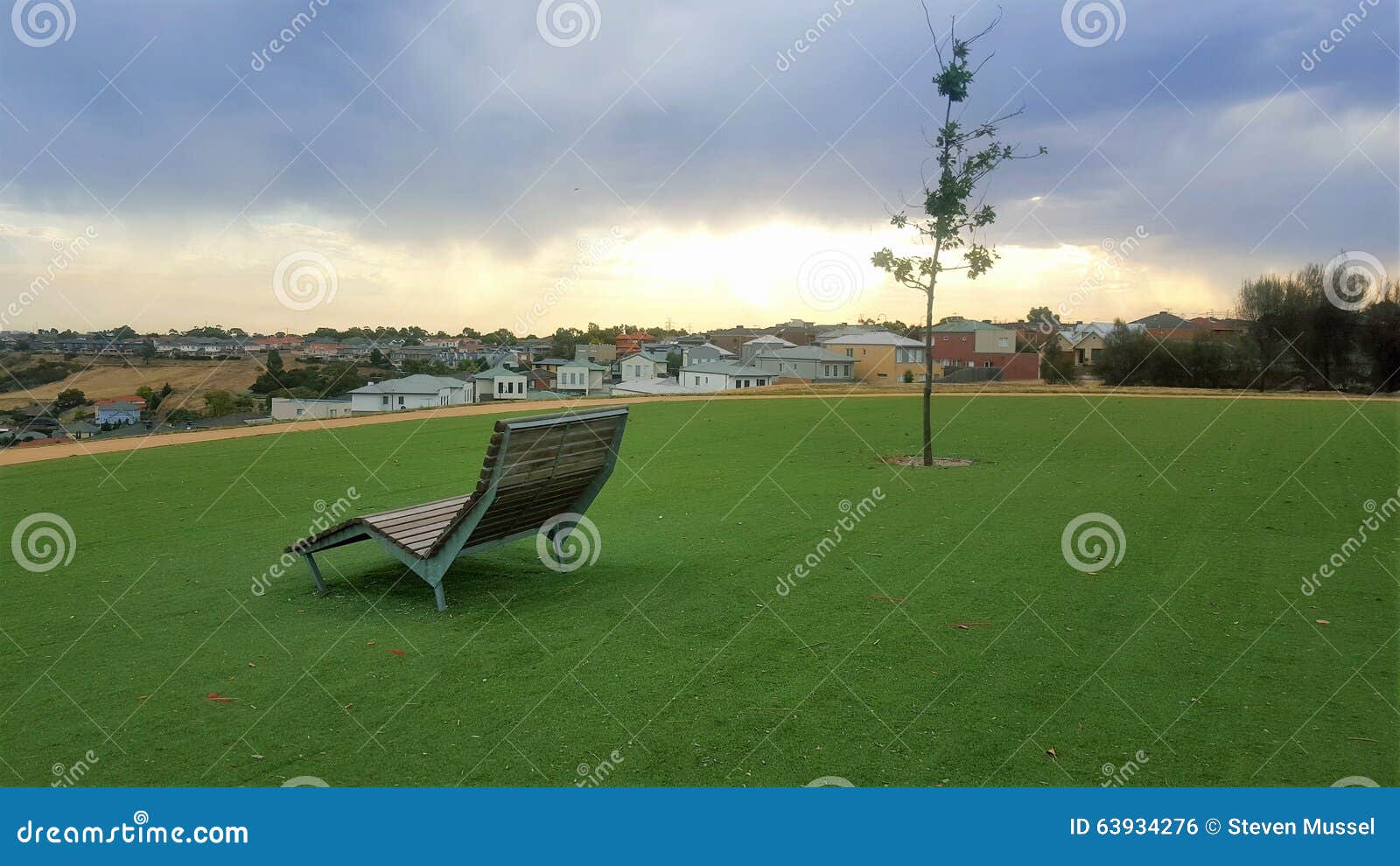 Chair and tree in sunset stock photo. Image of relaxing - 63934276