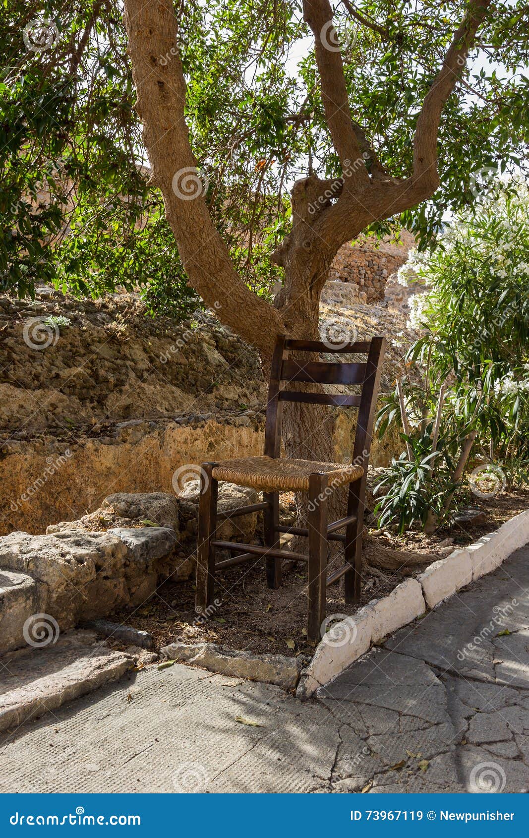 The chair under a tree stock image. Image of relax, nature - 73967119