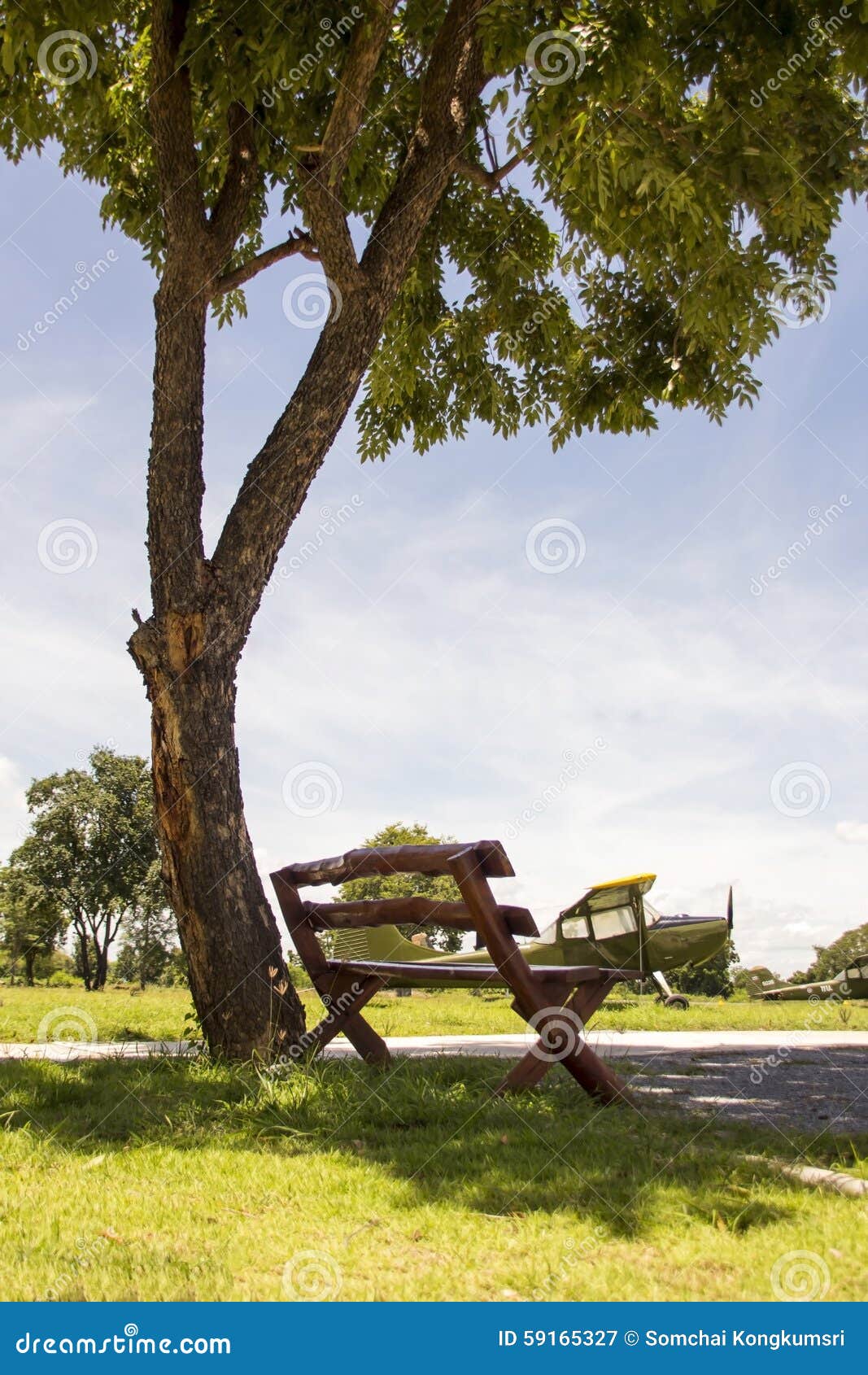 Chair under the tree stock image. Image of time, item - 59165327