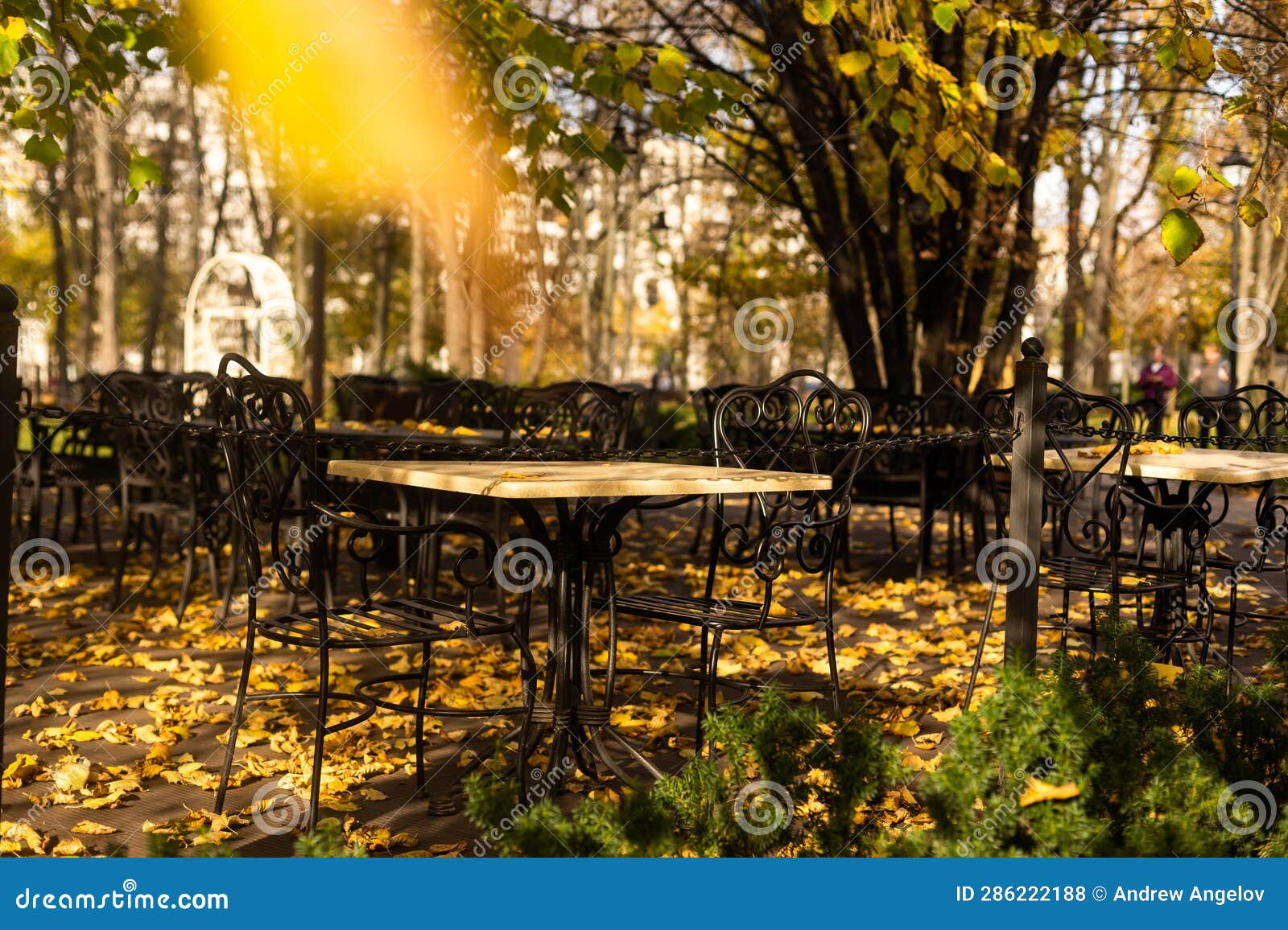 Chairs in Autumn, Street Cafe Stock Photo - Image of flower, city ...