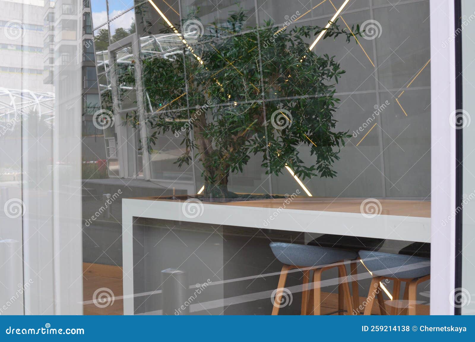 Chairs and Decorative Tree on Table Indoors, View from Outside Stock ...
