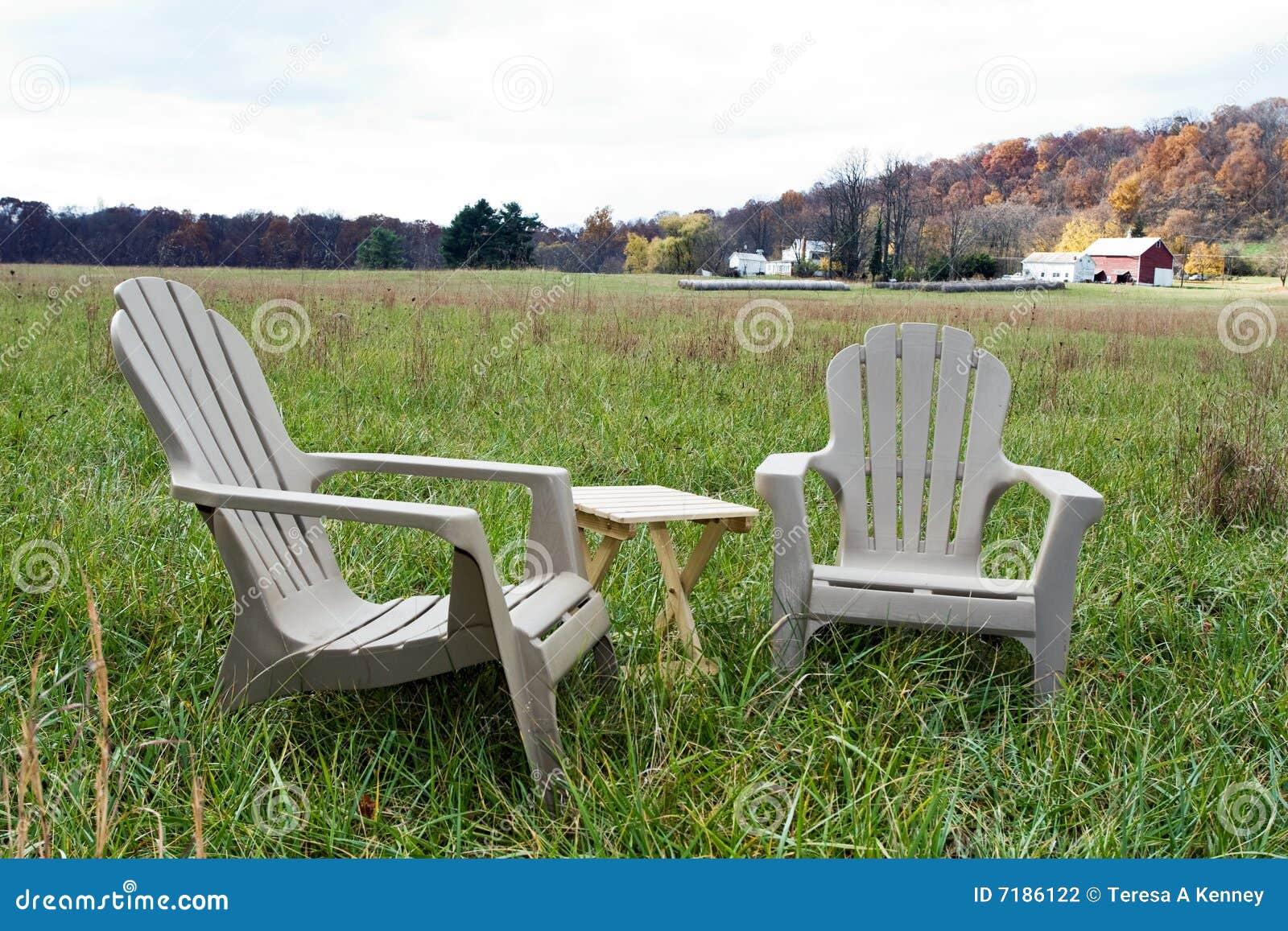 Chairs in Field stock photo. Image of grass, green, scenery - 7186122