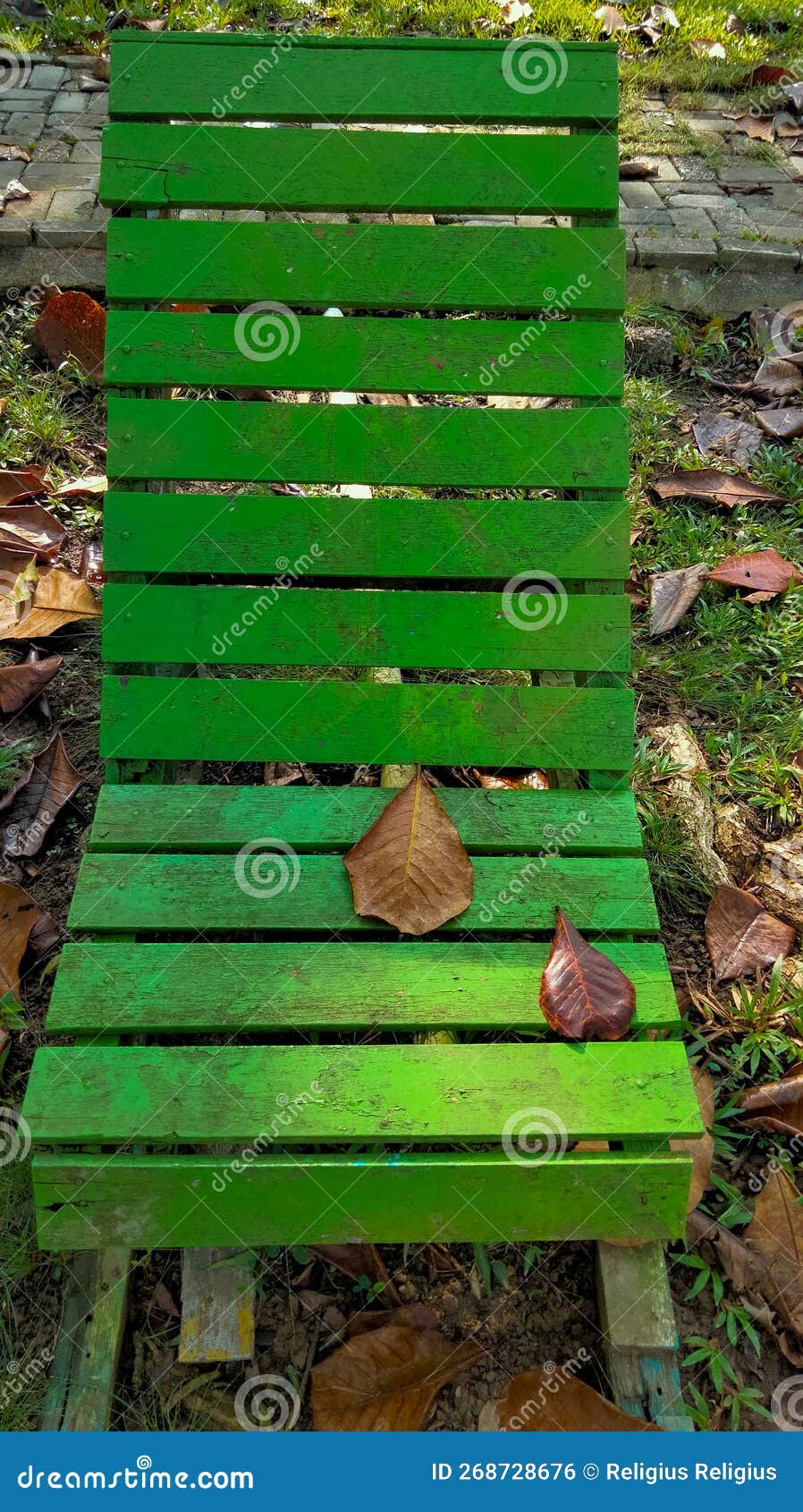 Chairs of Green Wood in the Park Stock Photo - Image of chairs, green ...