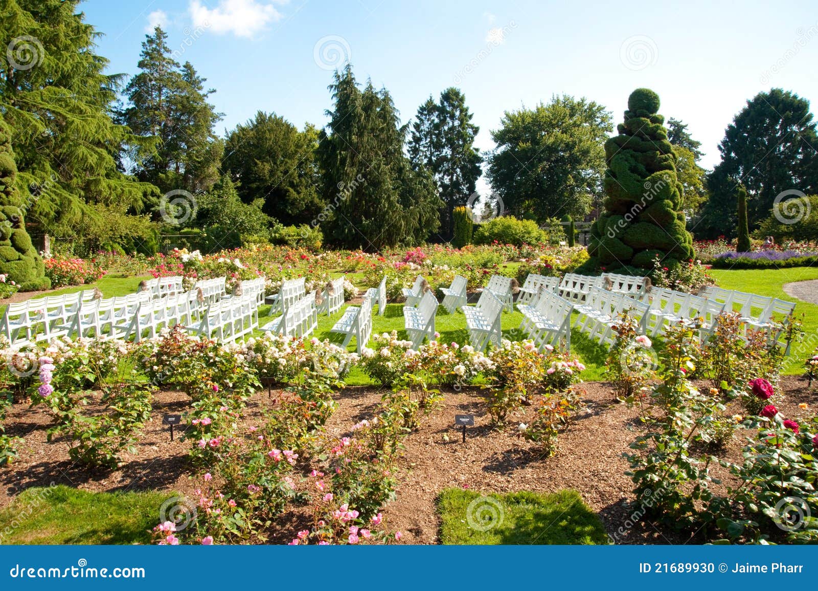 Chairs in a park stock photo. Image of garden, empty - 21689930