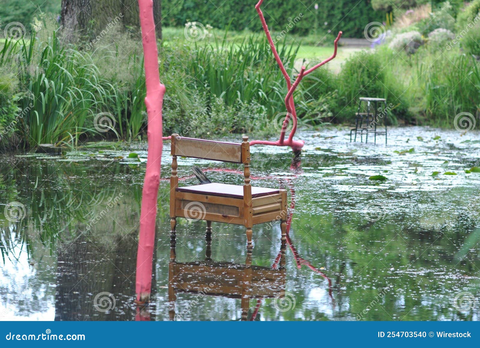 Chairs in a Pond with the Reflection on the Water Surface in a Rural ...