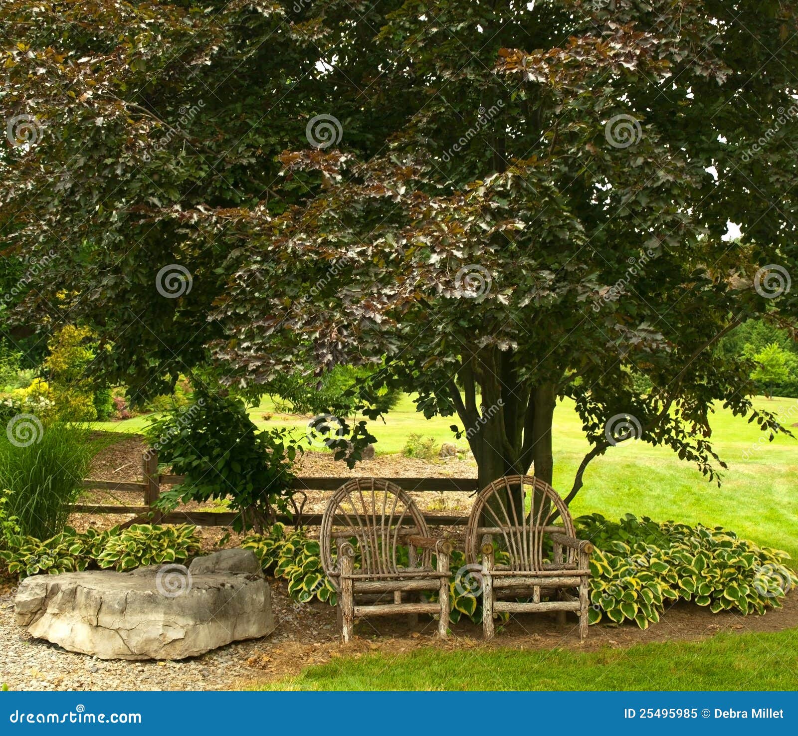 Chairs under tree stock image. Image of rest, rock, fence - 25495985