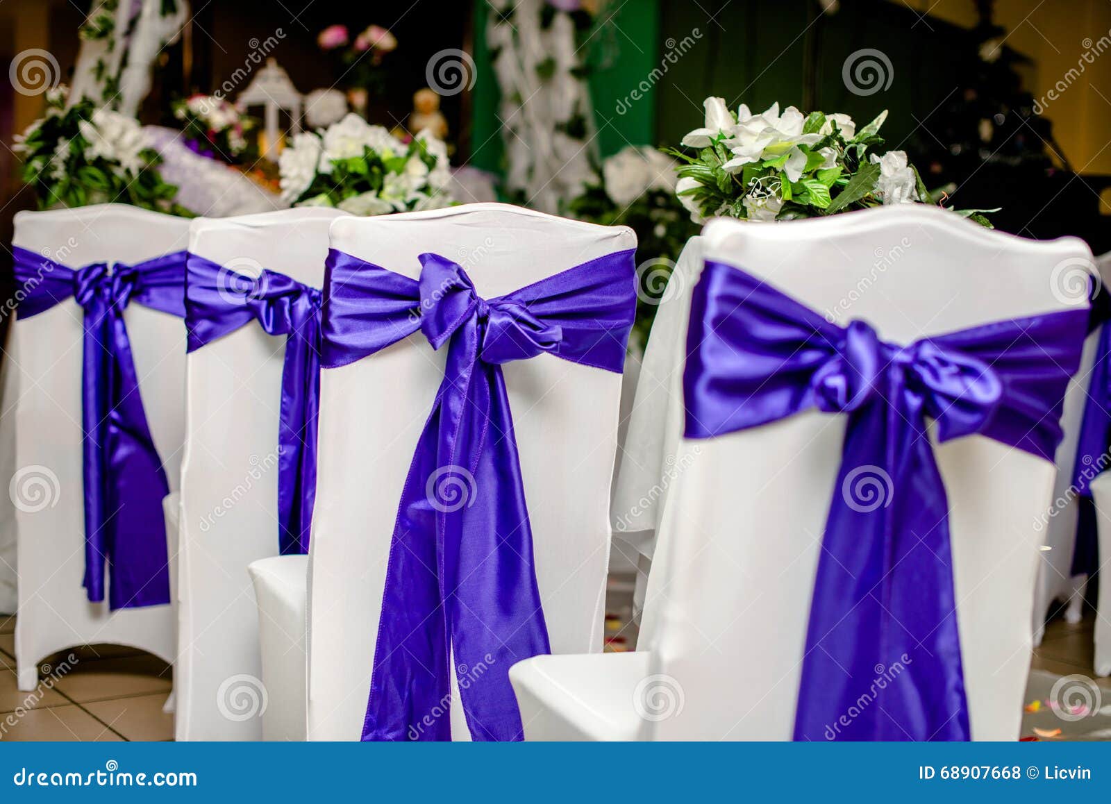 Chairs in the White Covers with a Blue Ribbon Stock Photo - Image of ...