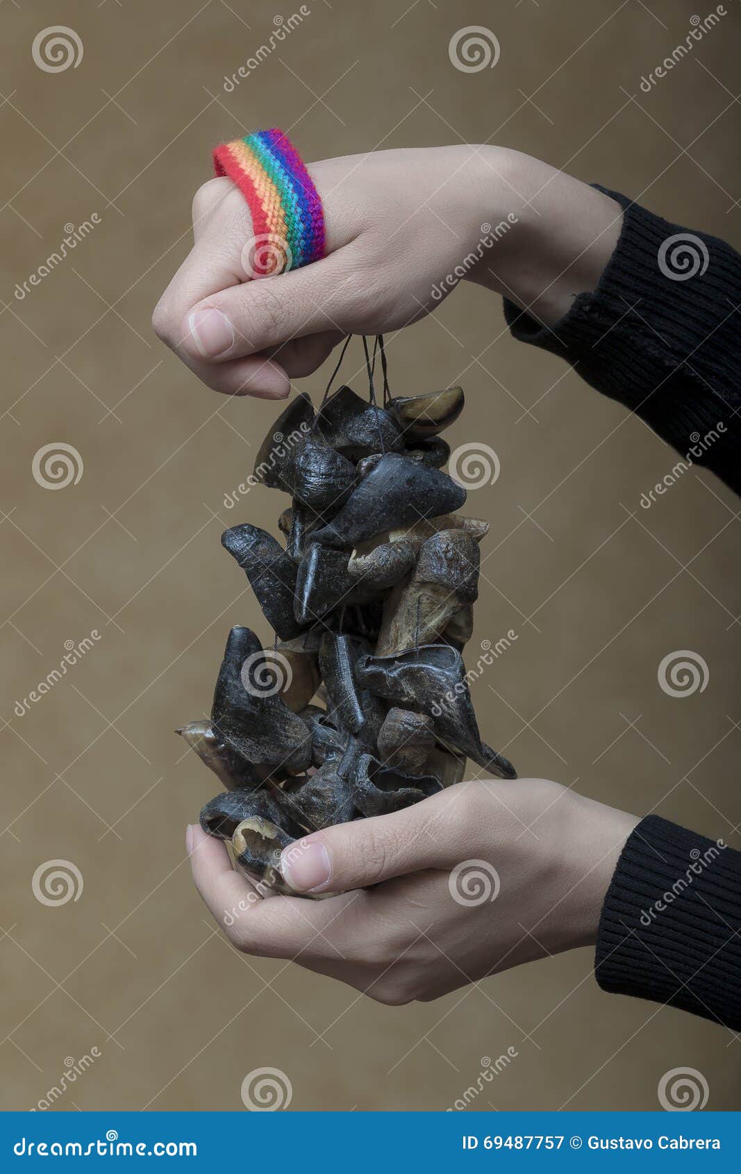 Chajchas stock image. Image of rattle, rituals, ceremonies - 69487757