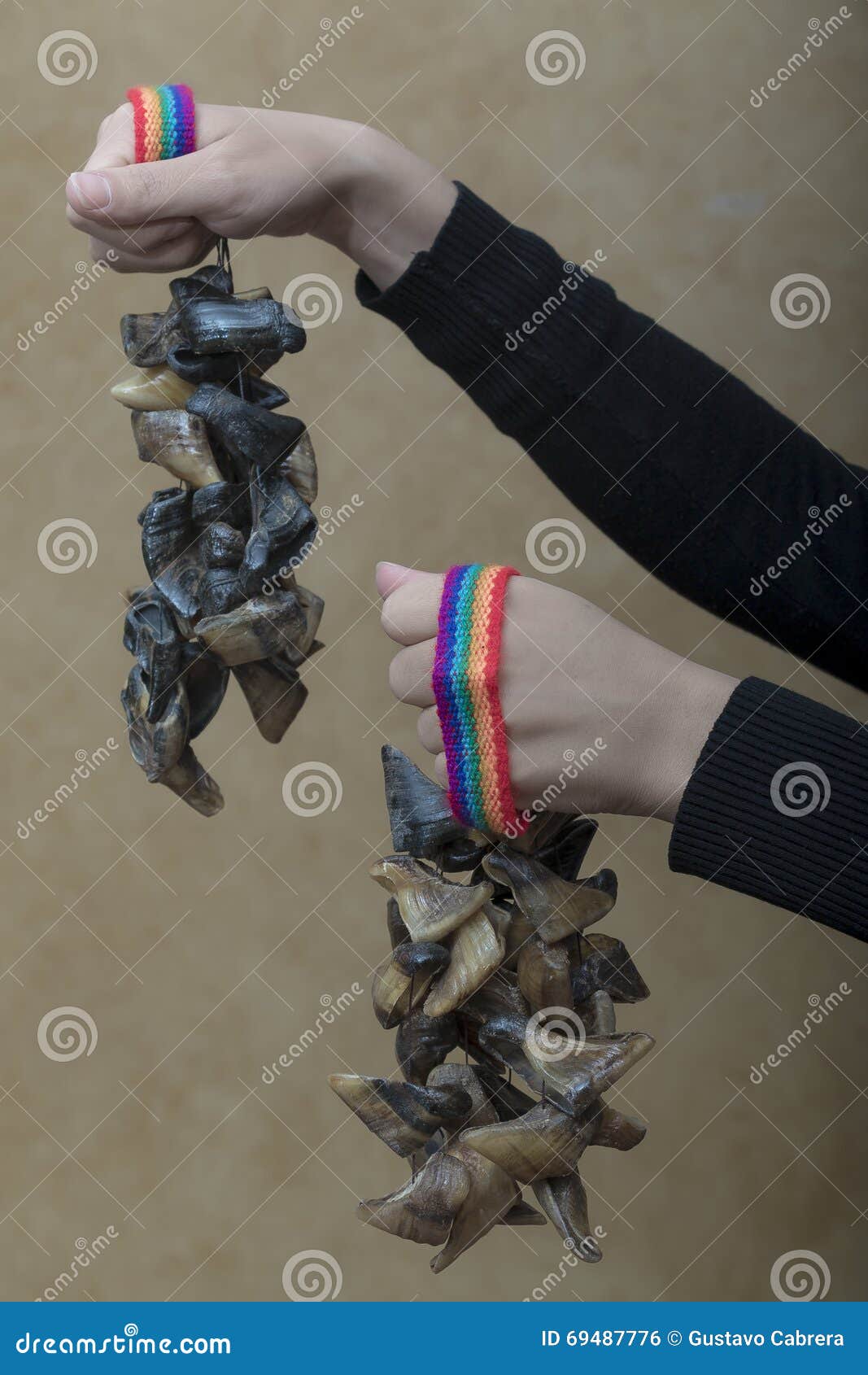 Chajchas stock photo. Image of rattle, instrument, folklore - 69487776