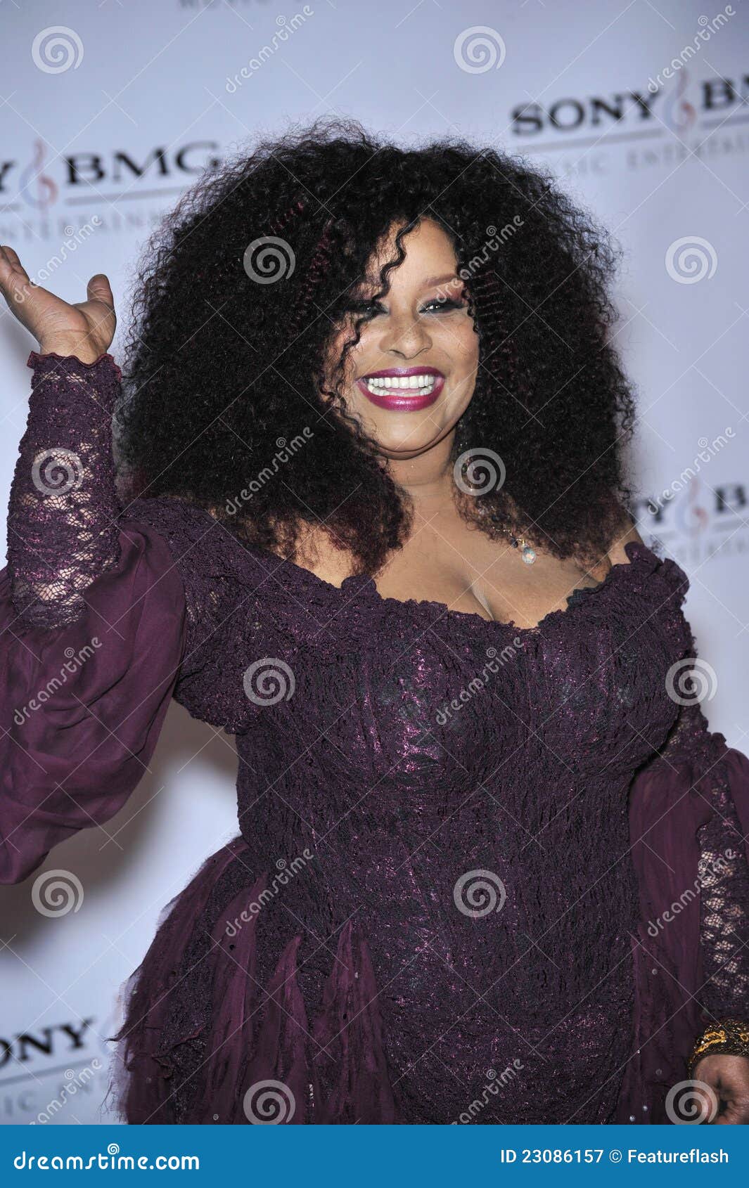 Chaka Khan fotografía editorial. Imagen de febrero, sonrisa - 23086157