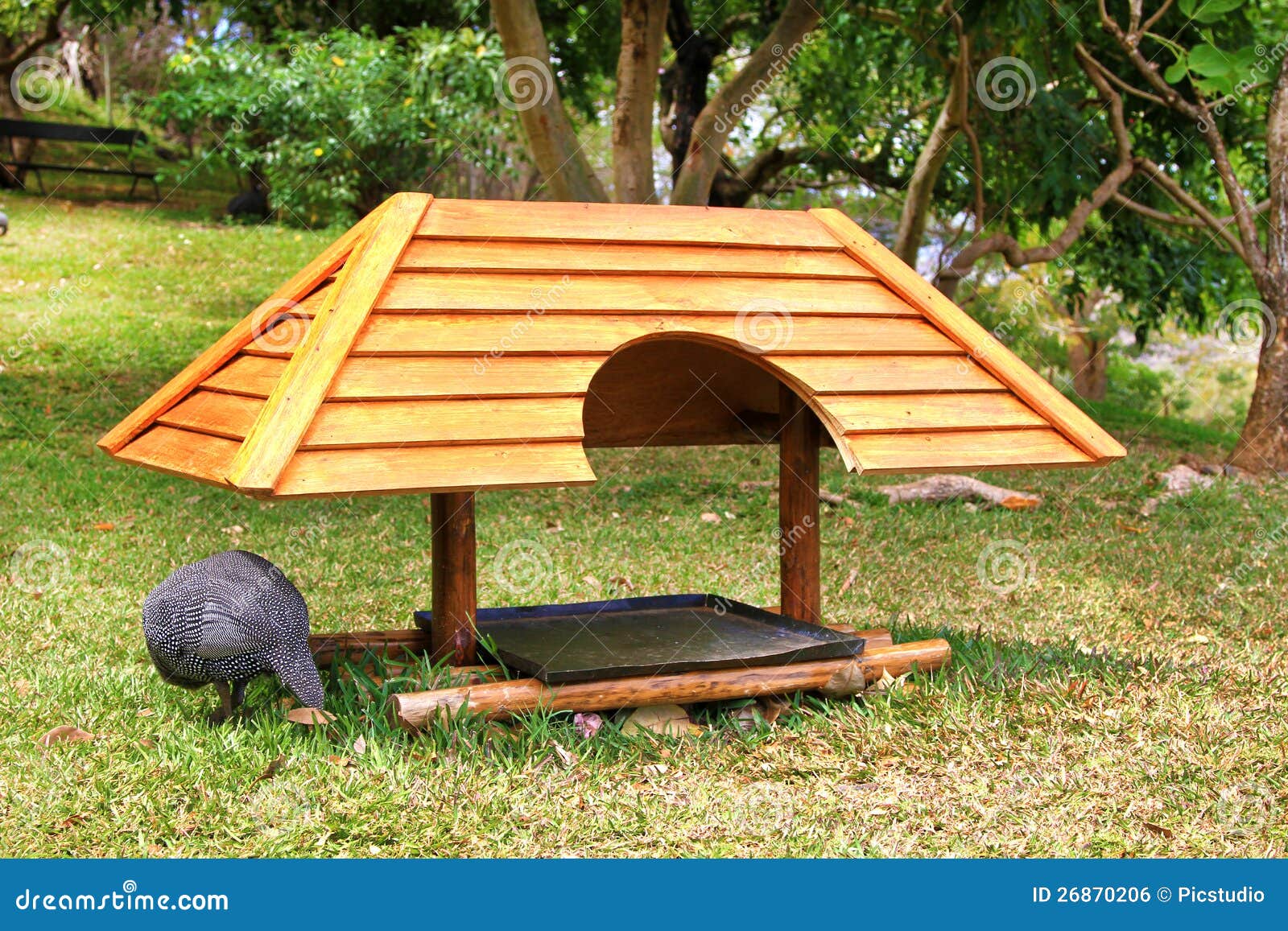 Chakore bird shelter stock photo. Image of wild, beautiful - 26870206