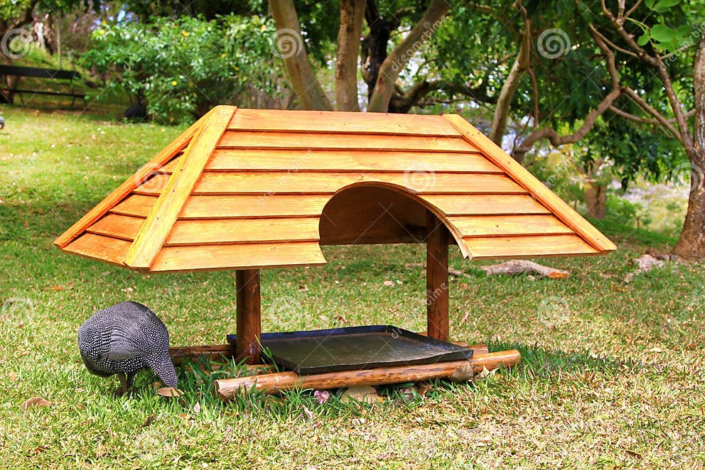 Chakore bird shelter stock photo. Image of wild, beautiful - 26870206