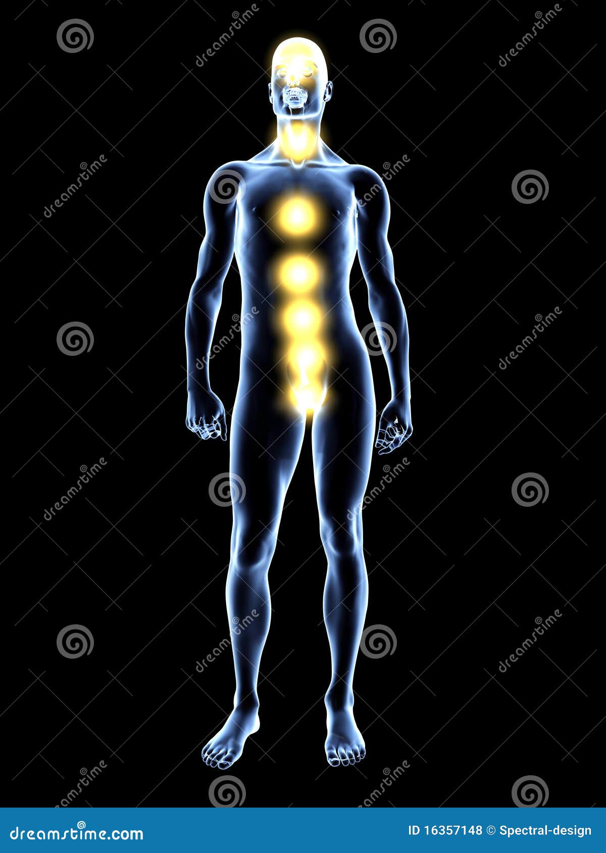 Chakras stock illustration. Illustration of chest, activation - 16357148