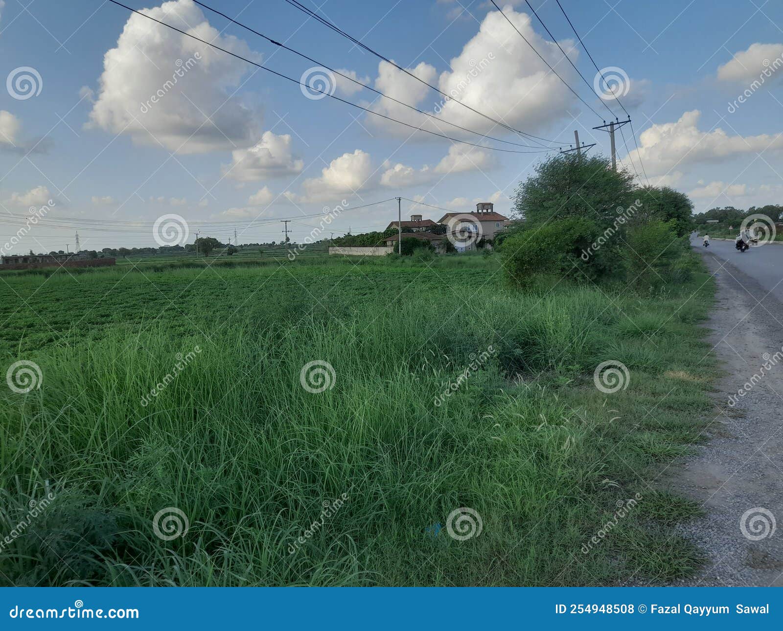 Village Road Side and Green Fields Stock Photo - Image of prairie, wind ...