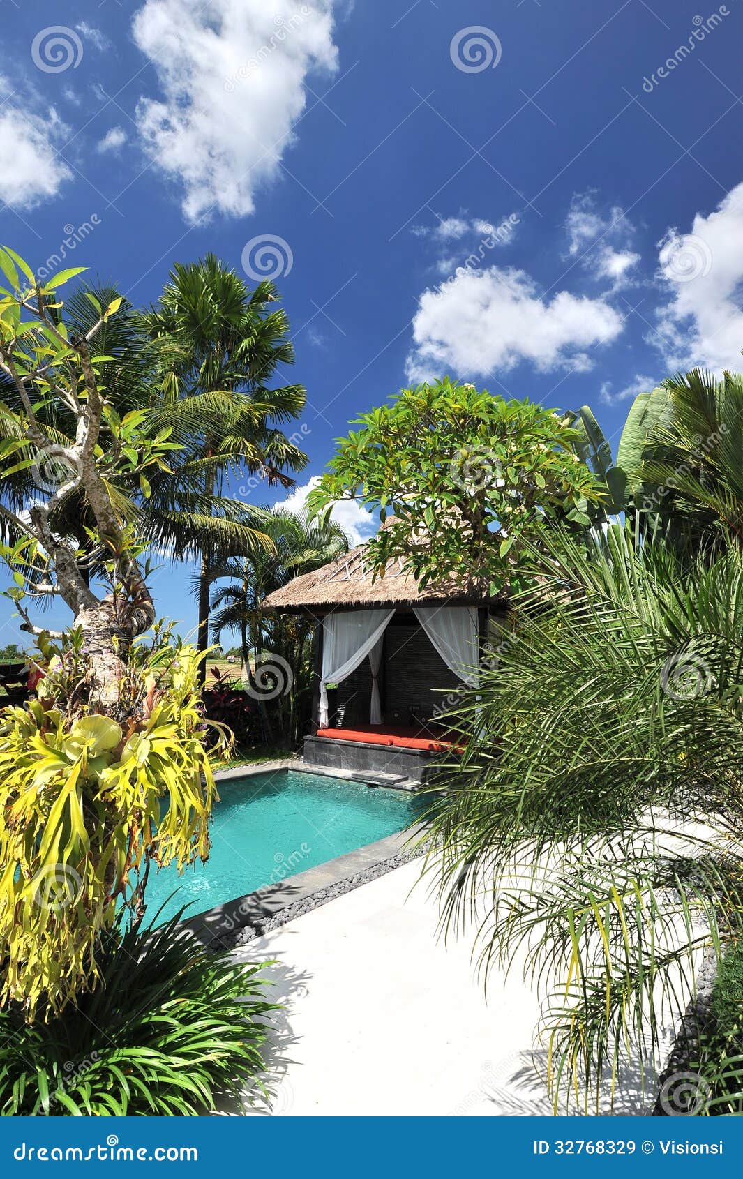 Chalet Tropical Moderno Con La Piscina Imagen de archivo - Imagen de ...