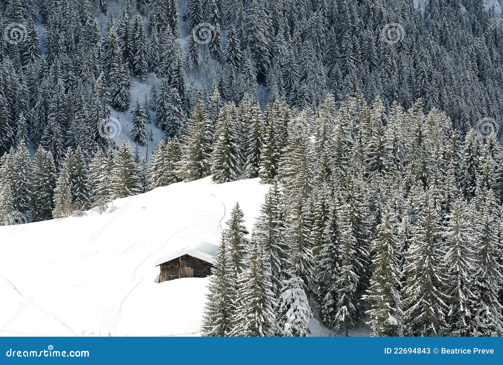 Chalet in winter stock image. Image of mountain, white - 22694843