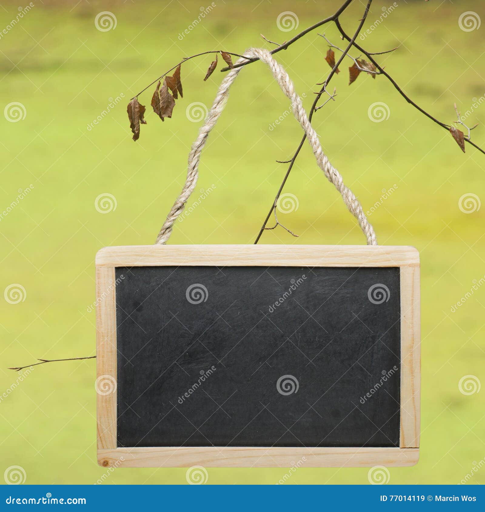 Chalk board hanged on tree stock image. Image of graphic - 77014119