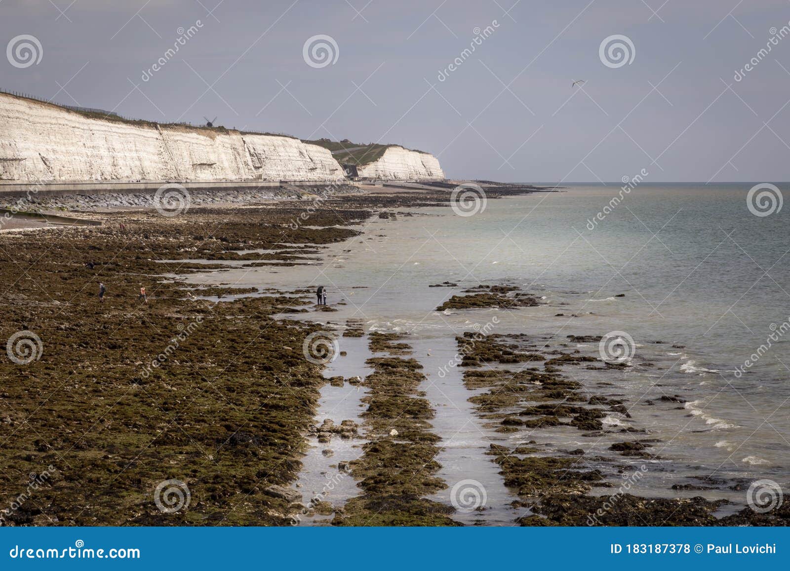 Chalk Cliffs at Brighton Marina Stock Photo - Image of undercliff ...