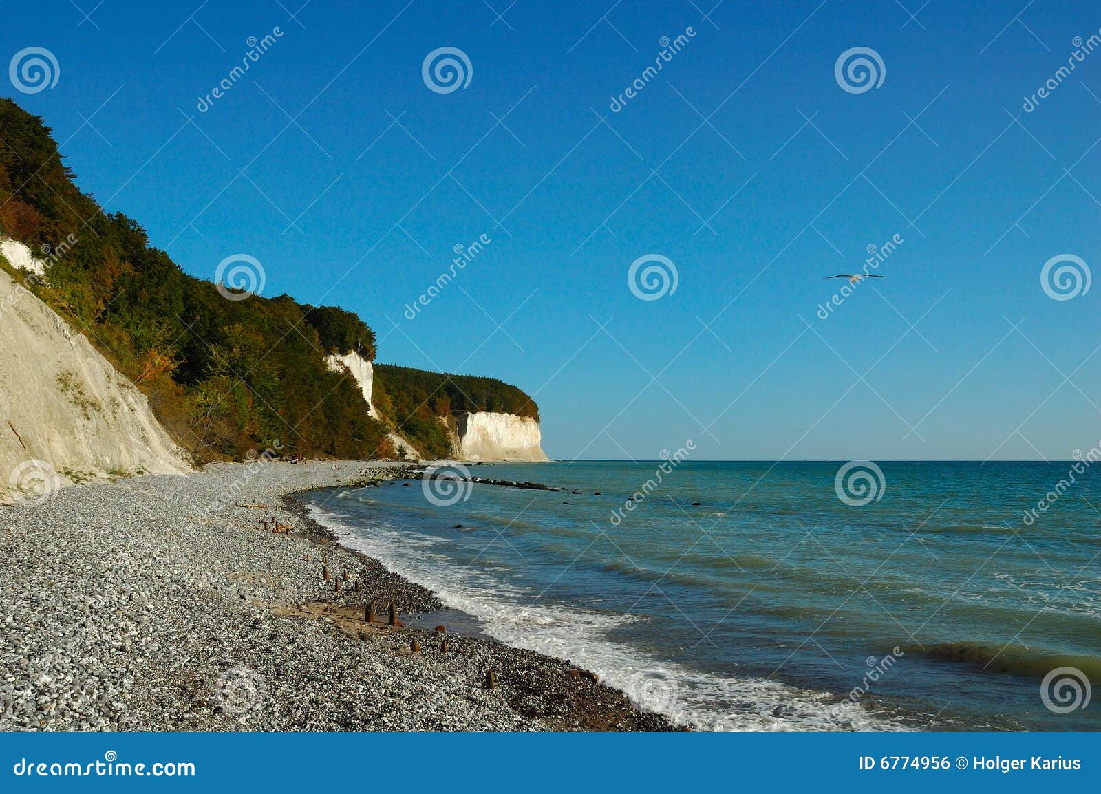 Chalk Cliffs (Ruegen, Germany) Stock Photo - Image of park, germany ...