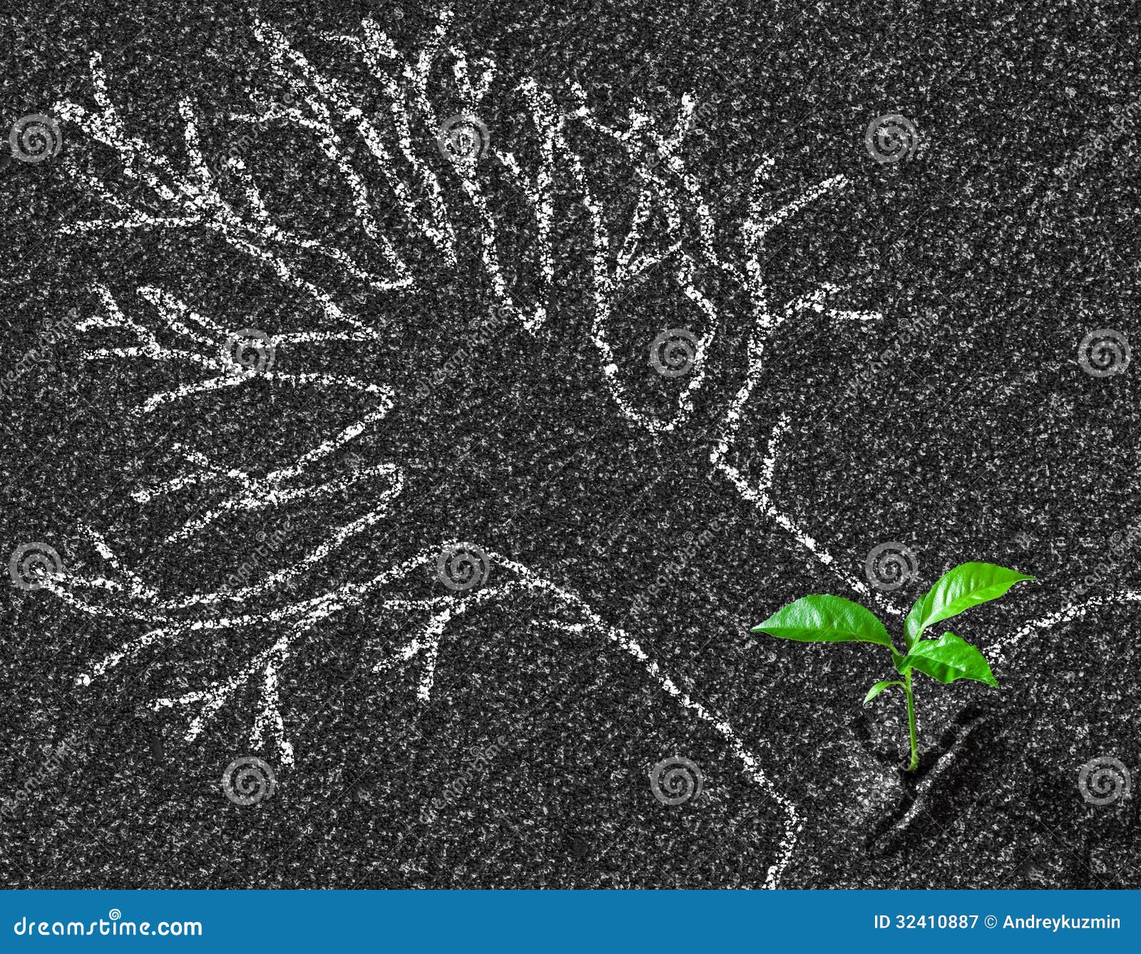 1,452 Young Tree Growth Road Stock Photos - Free & Royalty-Free Stock ...