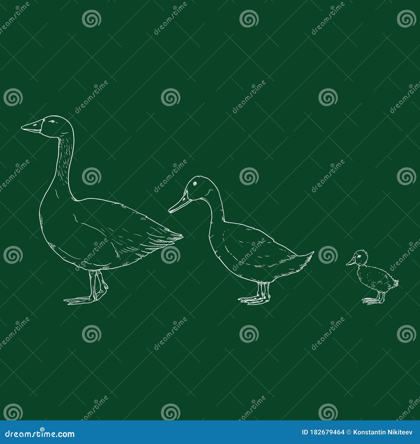 Duck Chalk White Icon On Black Background Cartoon Vector ...