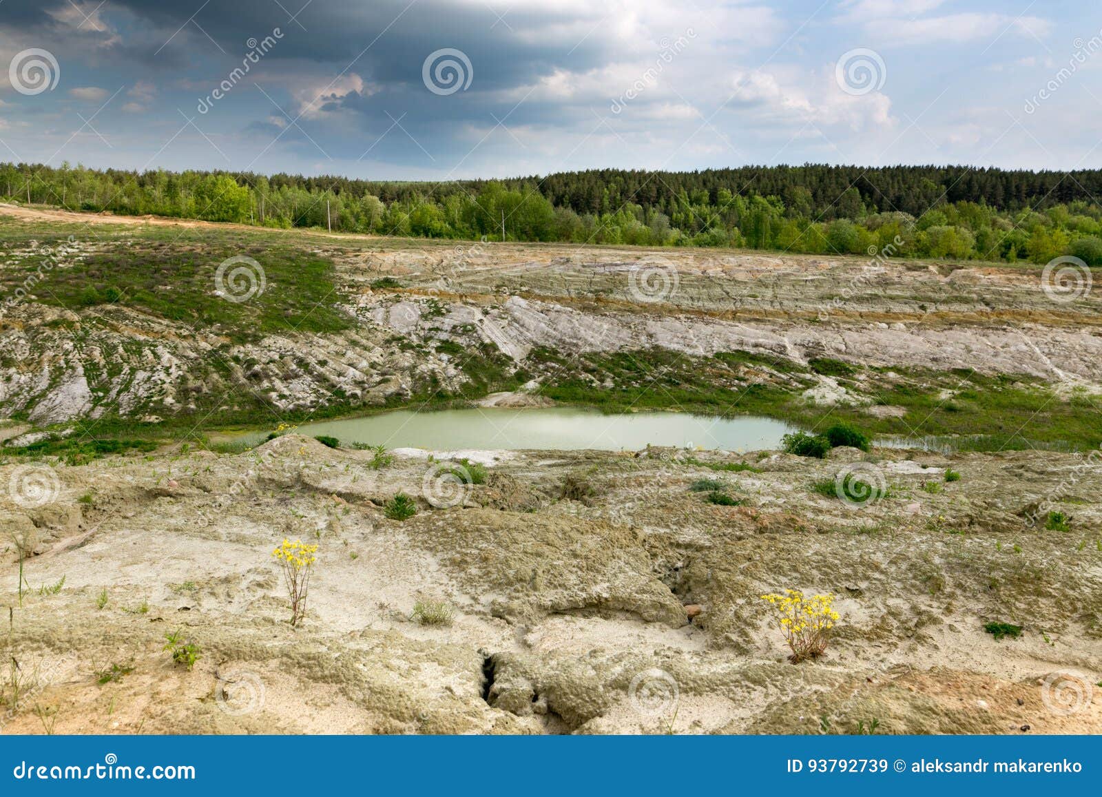 Chalk Quarry Filled with Water in Belarus. Stock Image - Image of pine ...