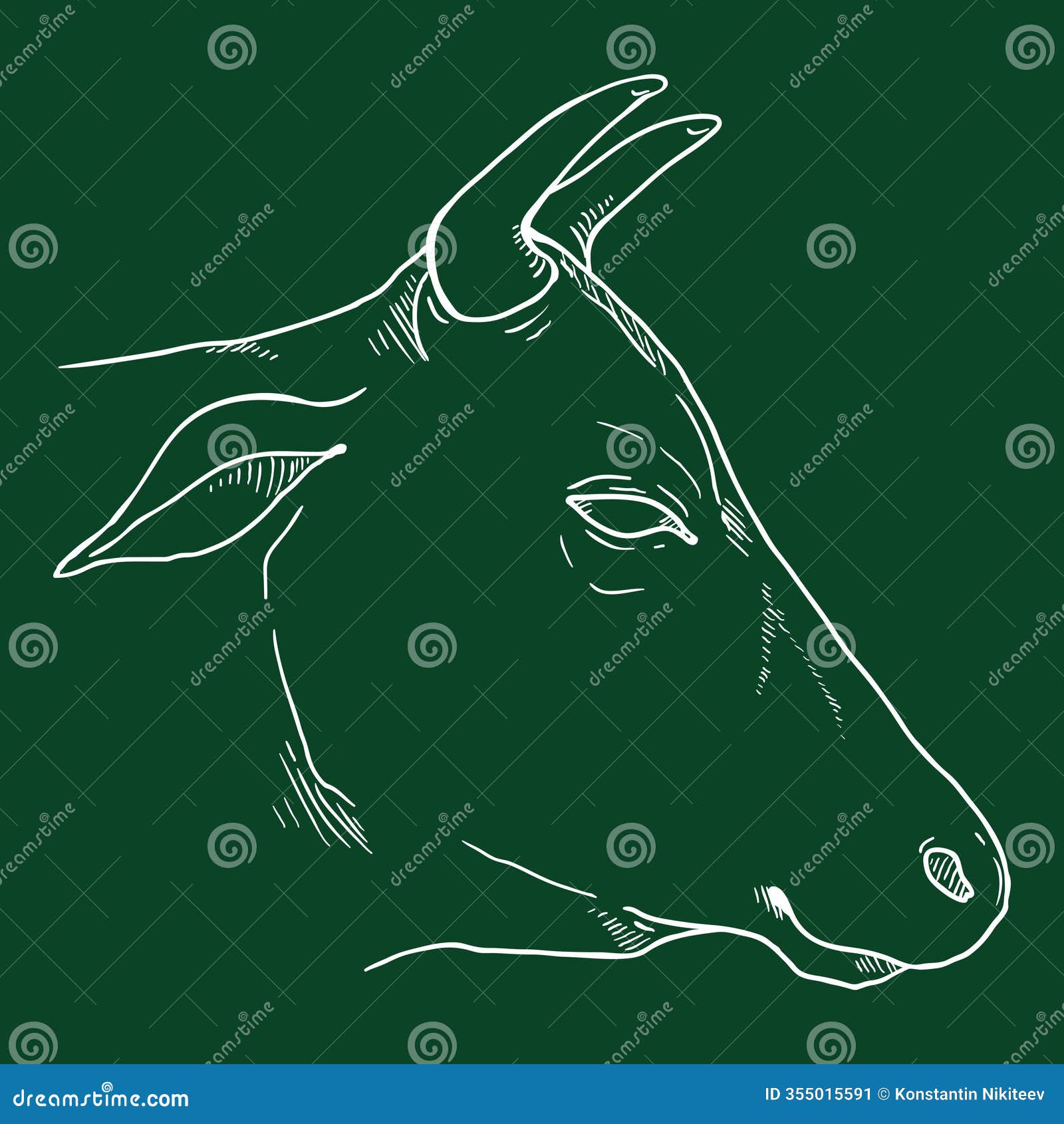 Sketch Cow Head. Vector Cattle Illustration Stock Illustration ...