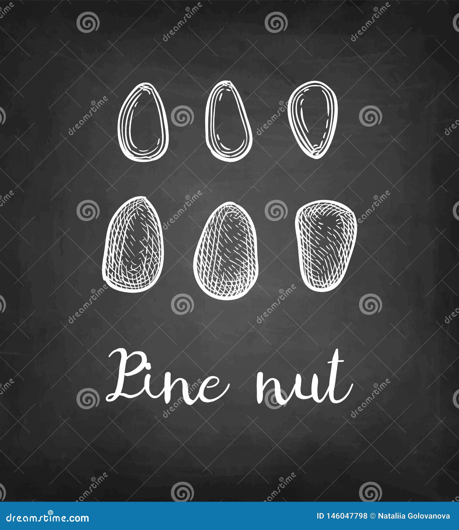 Chalk sketch of pine nut stock vector. Illustration of doodle - 146047798