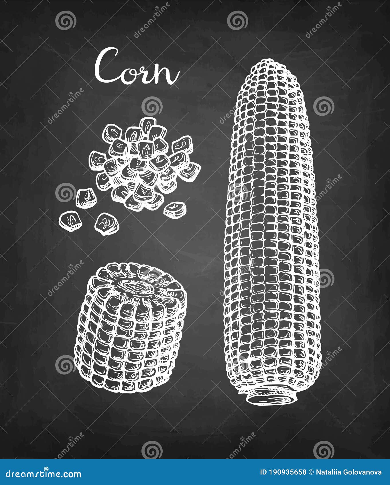 Chalk sketch set of corn. stock vector. Illustration of healthy - 190935658