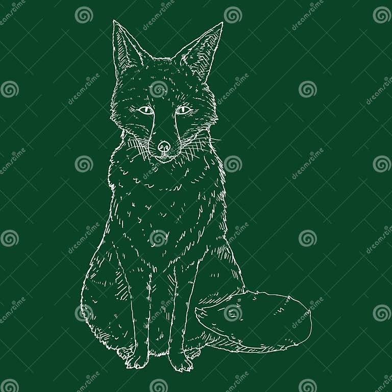 Sketch Sitting Fox. Front View Stock Vector - Illustration of contour ...