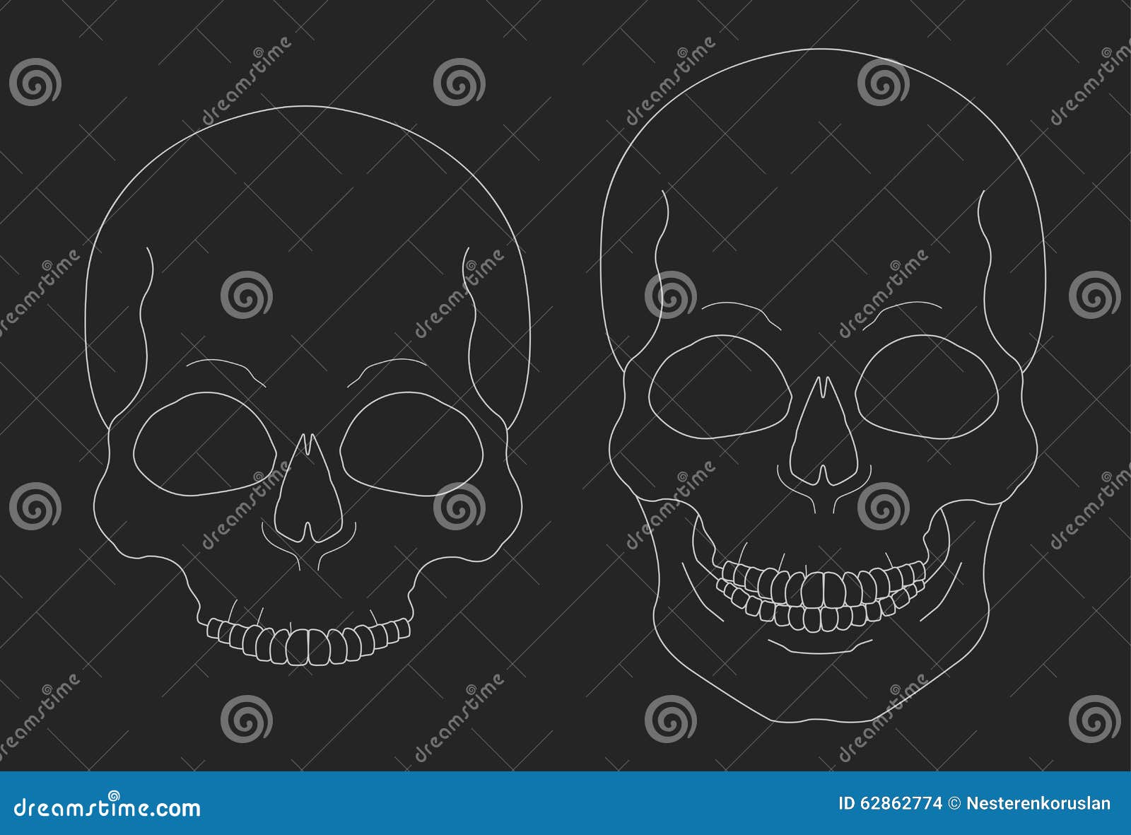 Chalk Skull Vector Clip Art Stock Vector - Illustration of vector ...
