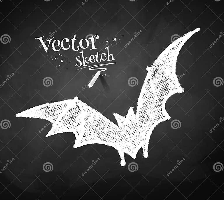 Chalkboard drawing of bat stock vector. Illustration of halloween ...